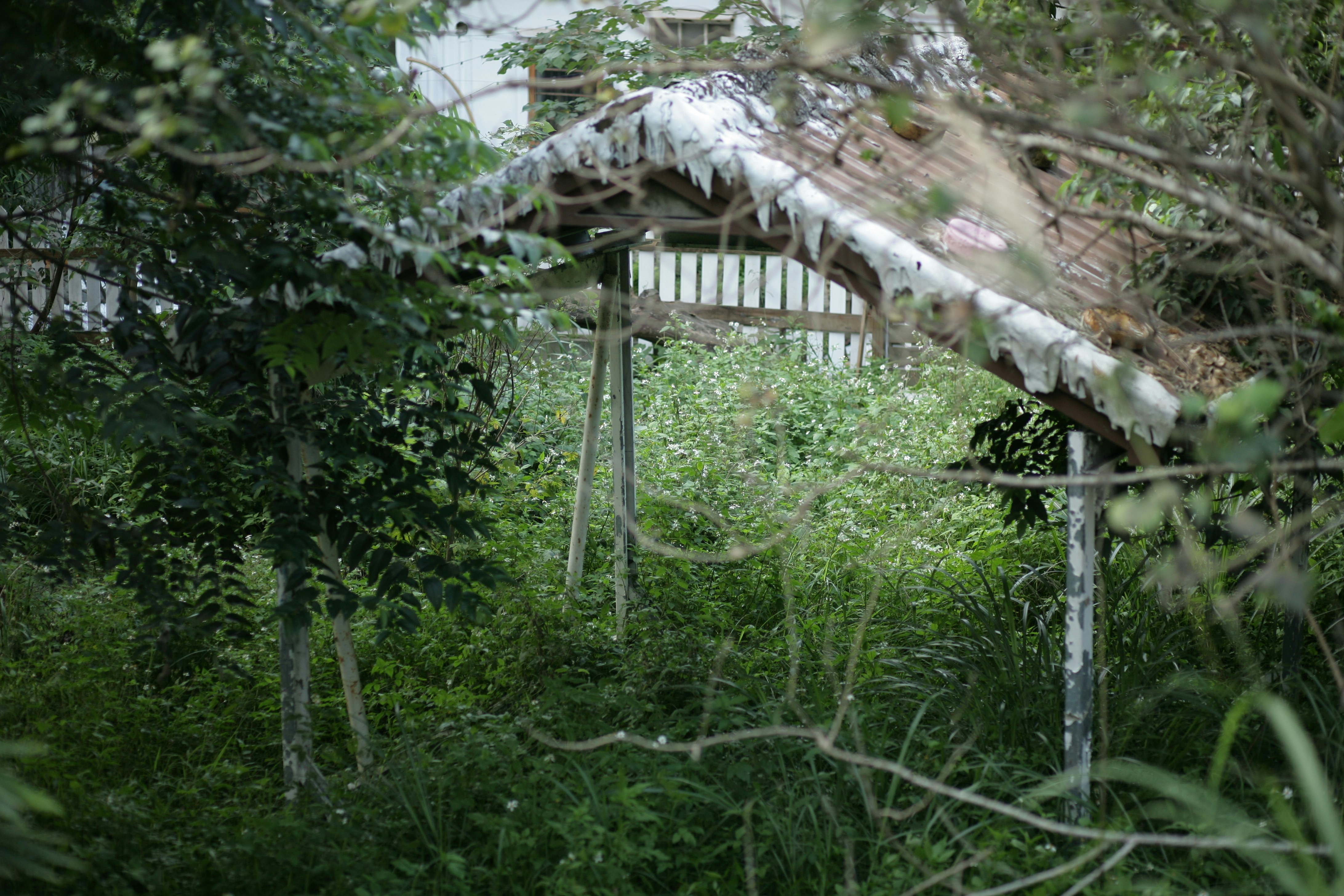 Photo by MChe Lee with CANON EOS 5D