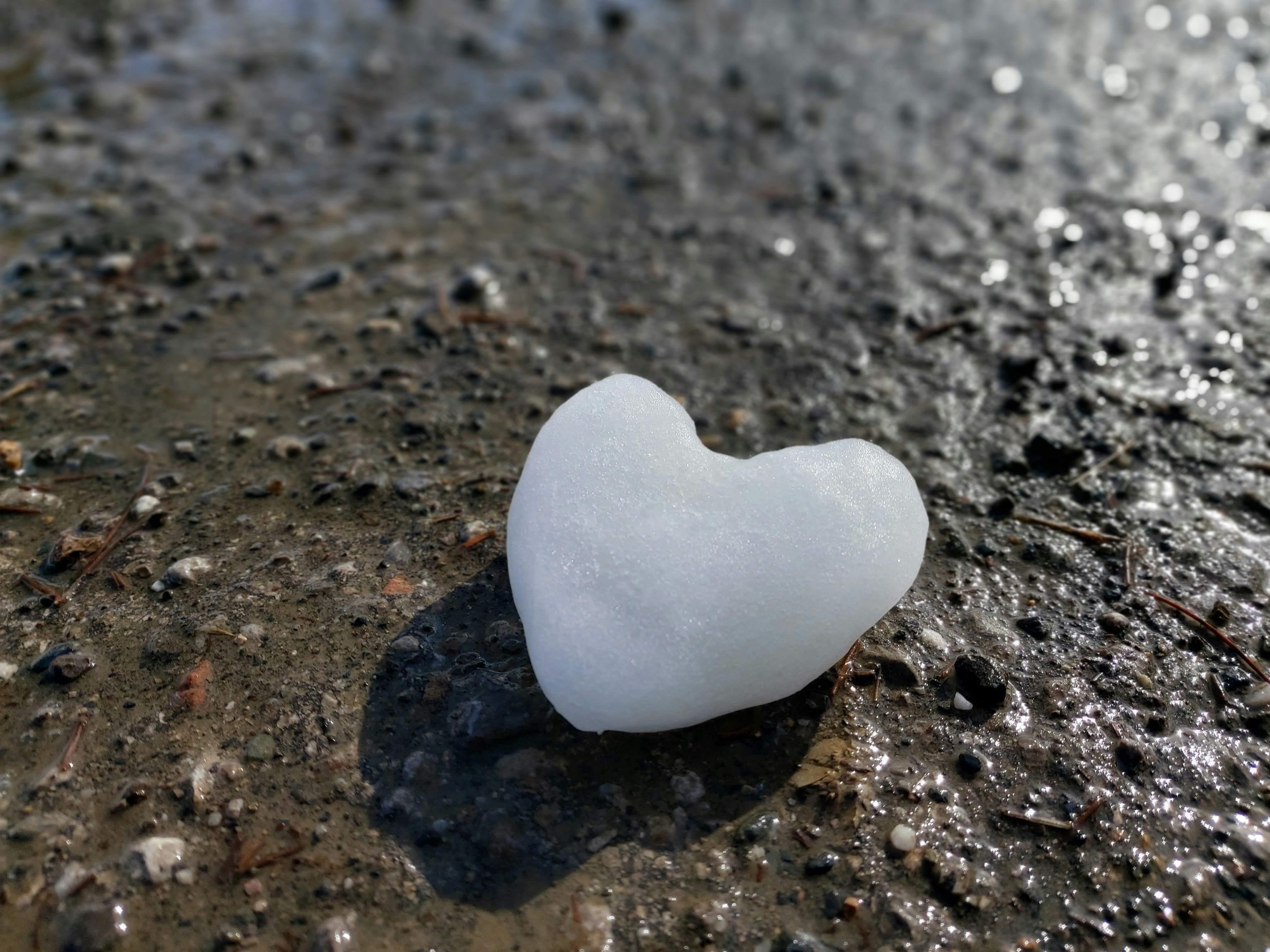 White heart shaped stone on black sand photo – Free Iran Image on Unsplash