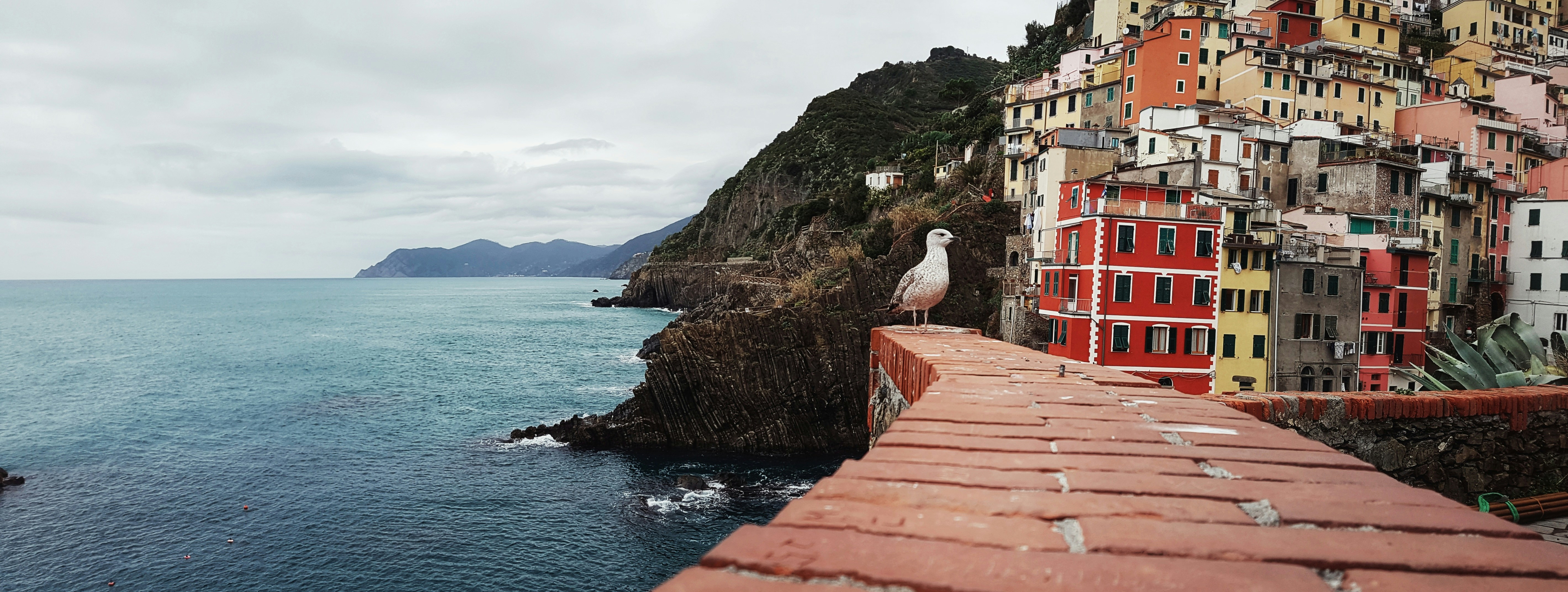 Seagull Promenade: Colorful Cliffside Village Framed by Sea Light