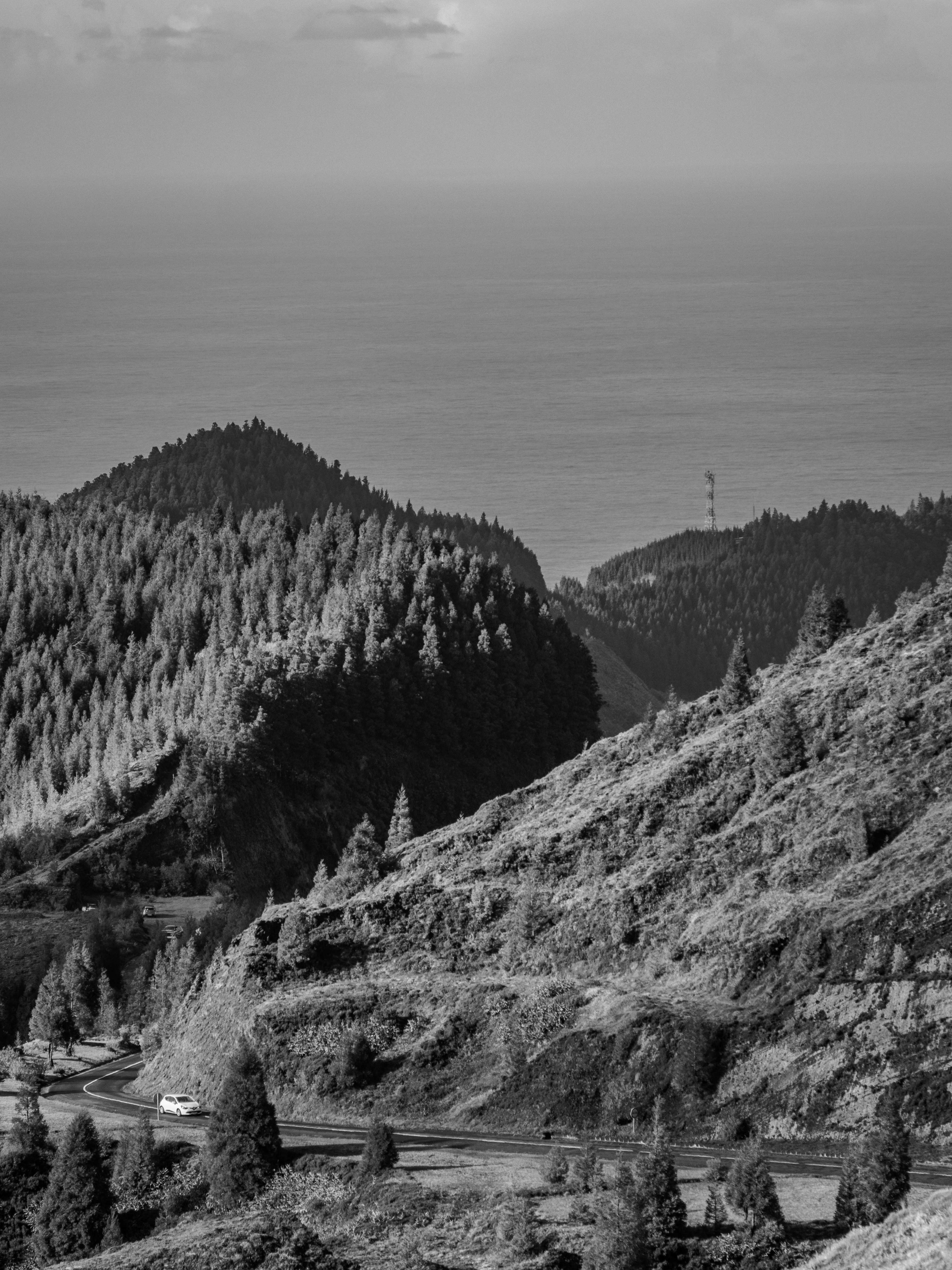Monochrome Hills Meeting the Sea