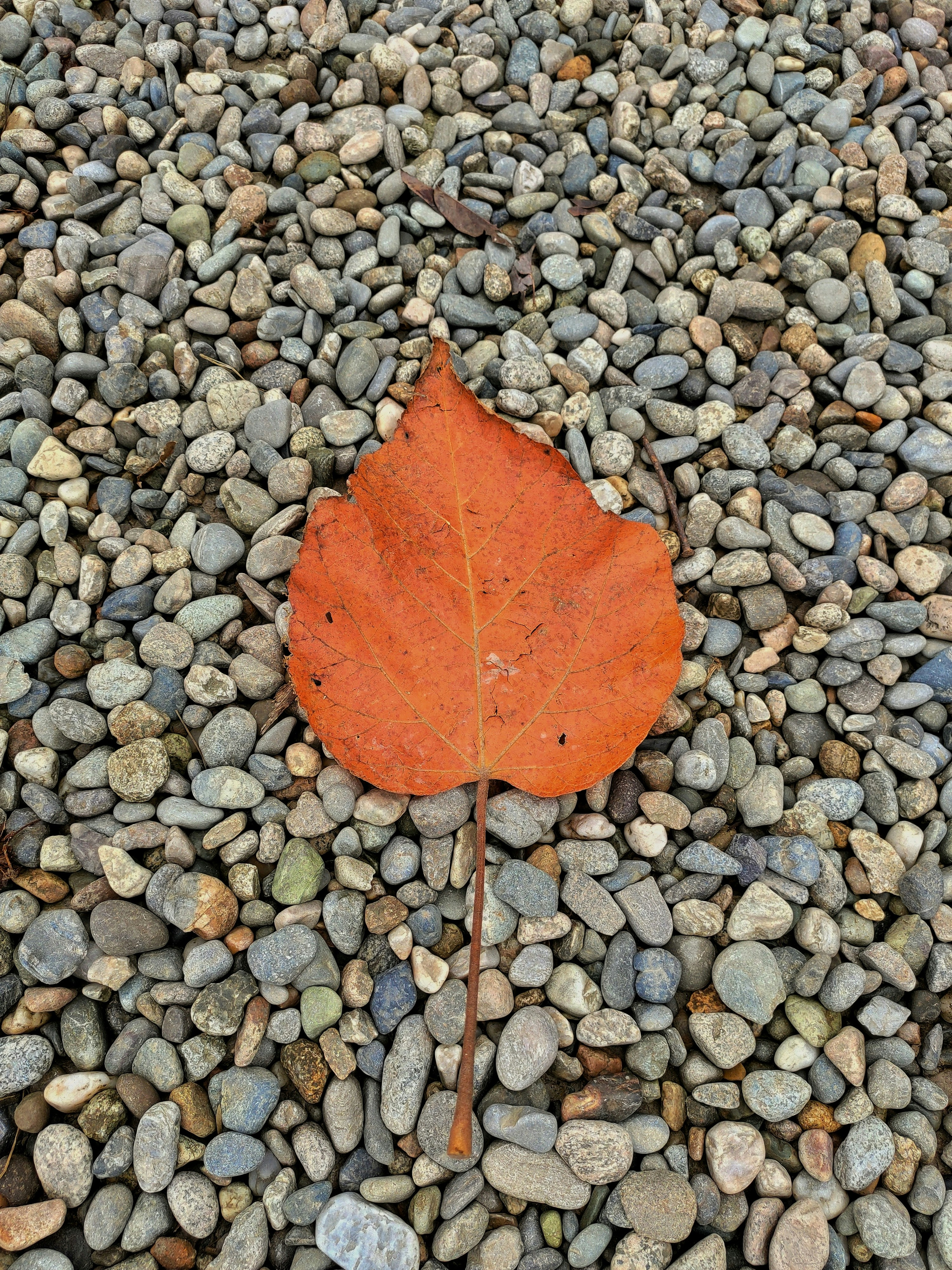Luis Alfredo Alvarado Guayllas (@instinctive) | Unsplash Photo Community