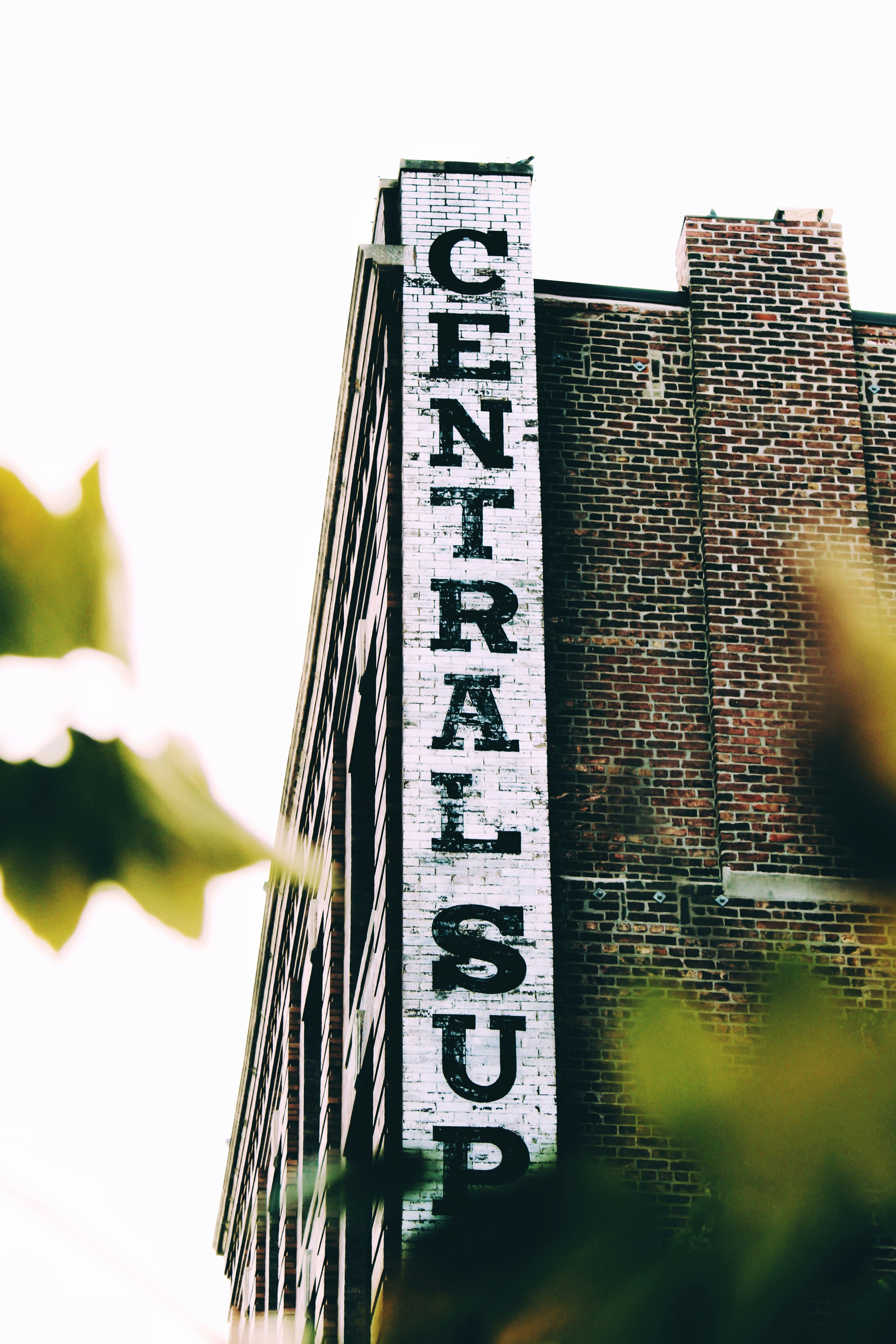 Vertical Signage: Centered Spine of a Downtown Center