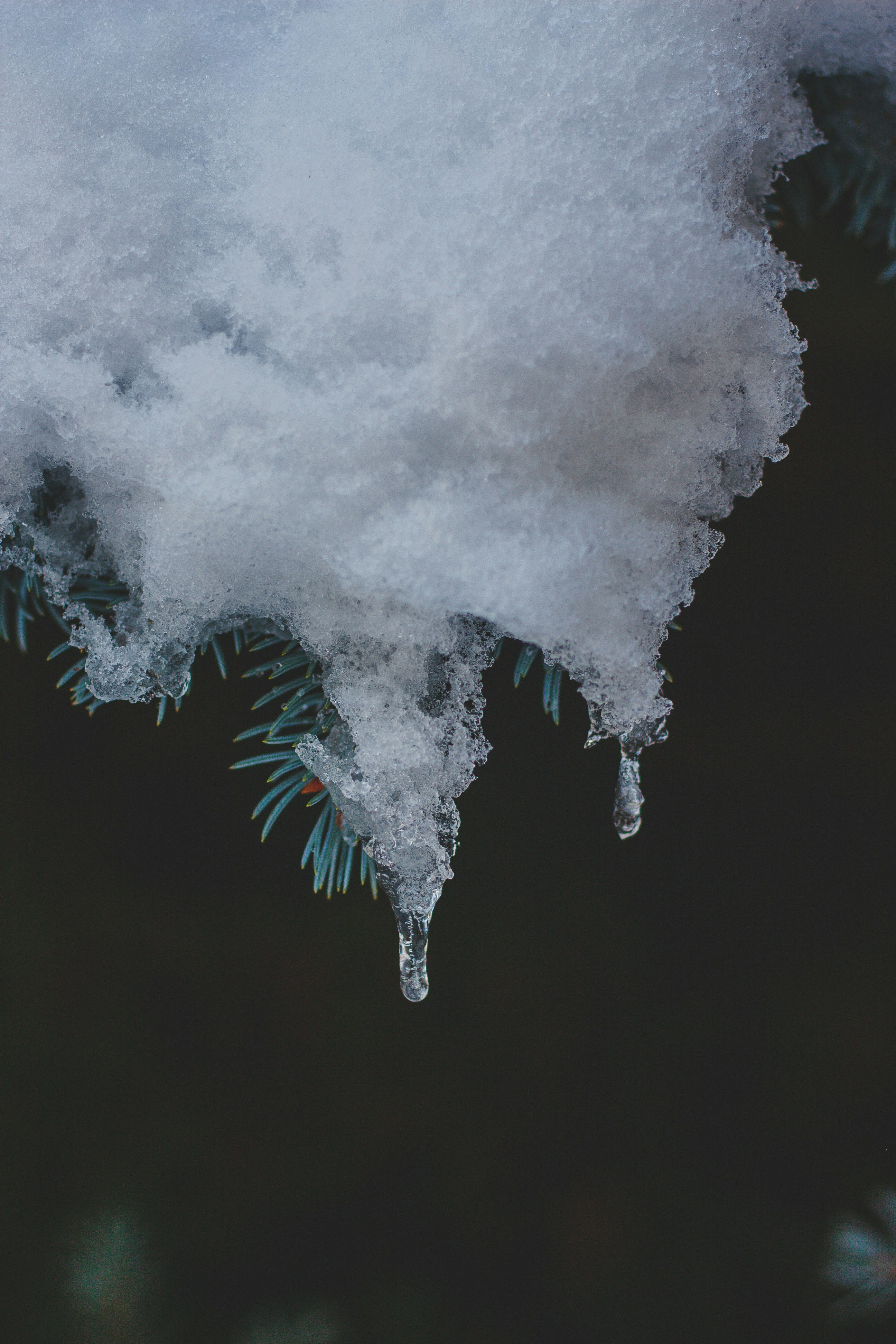 Water Drip Pictures | Download Free Images on Unsplash