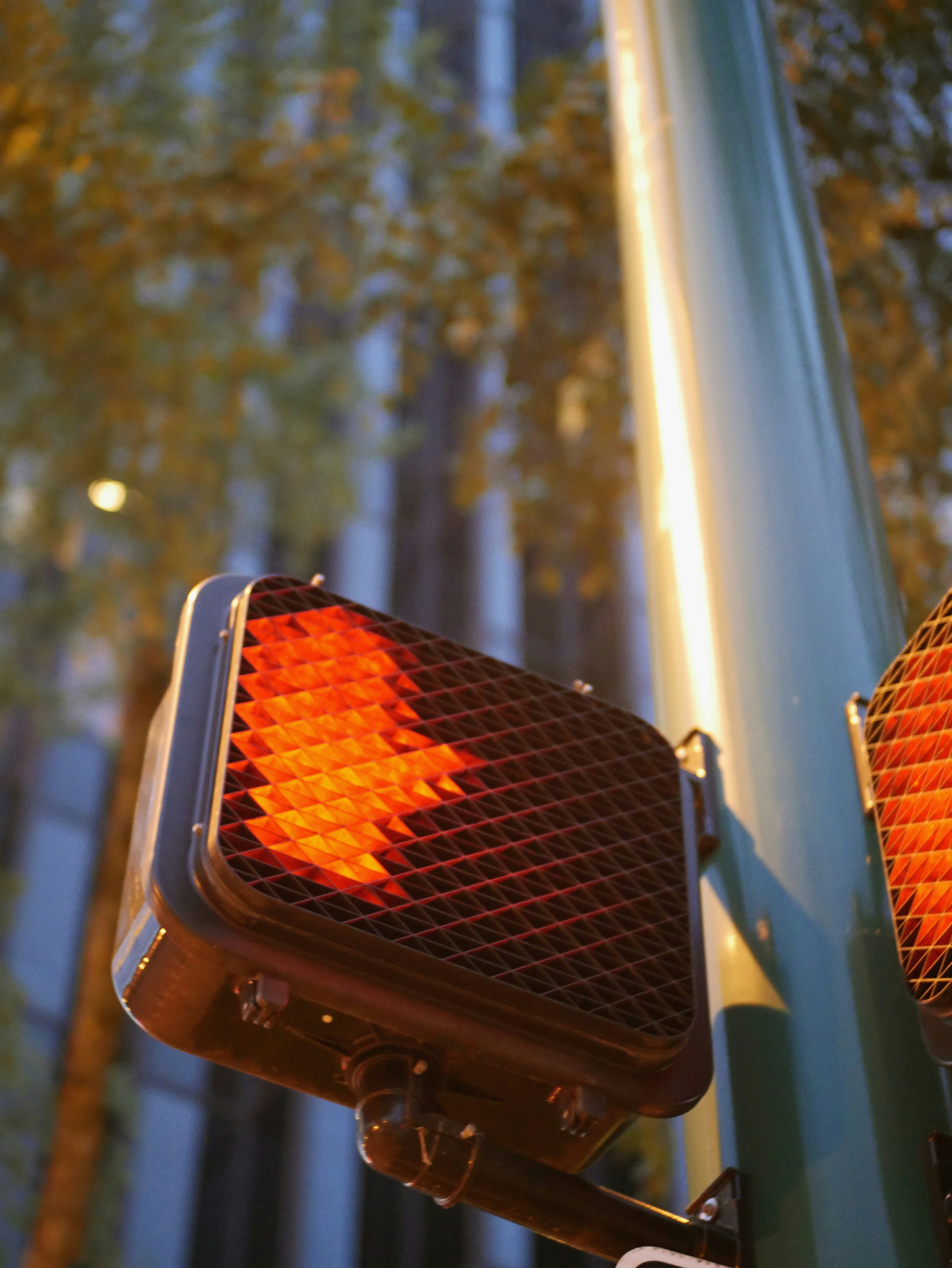 Red Arrow at Standby: Urban Crossing Signal in Autumn Light