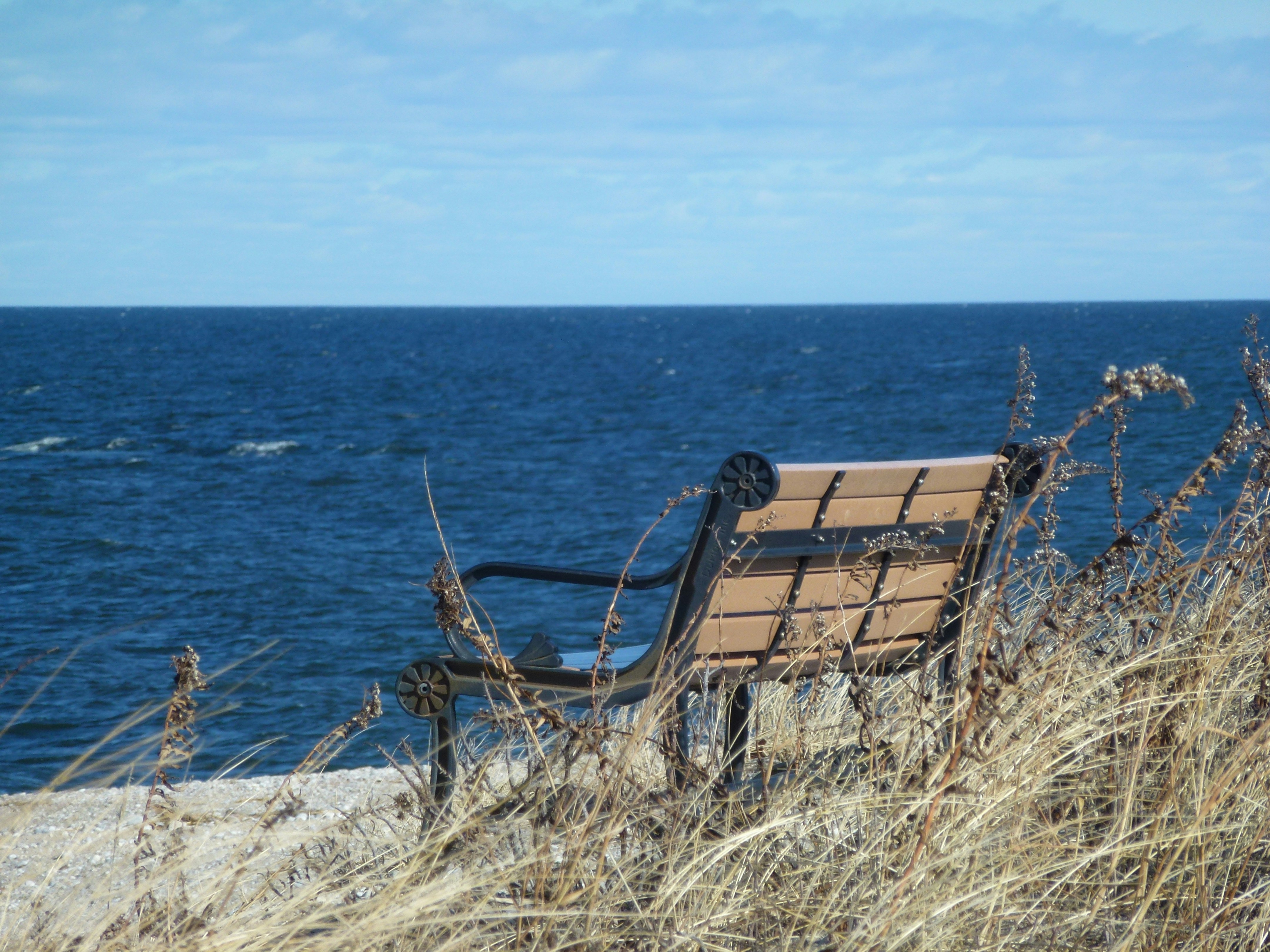 A weathered bench overlooking a tranquil sea, surrounded by tall grasses swaying in the breeze.