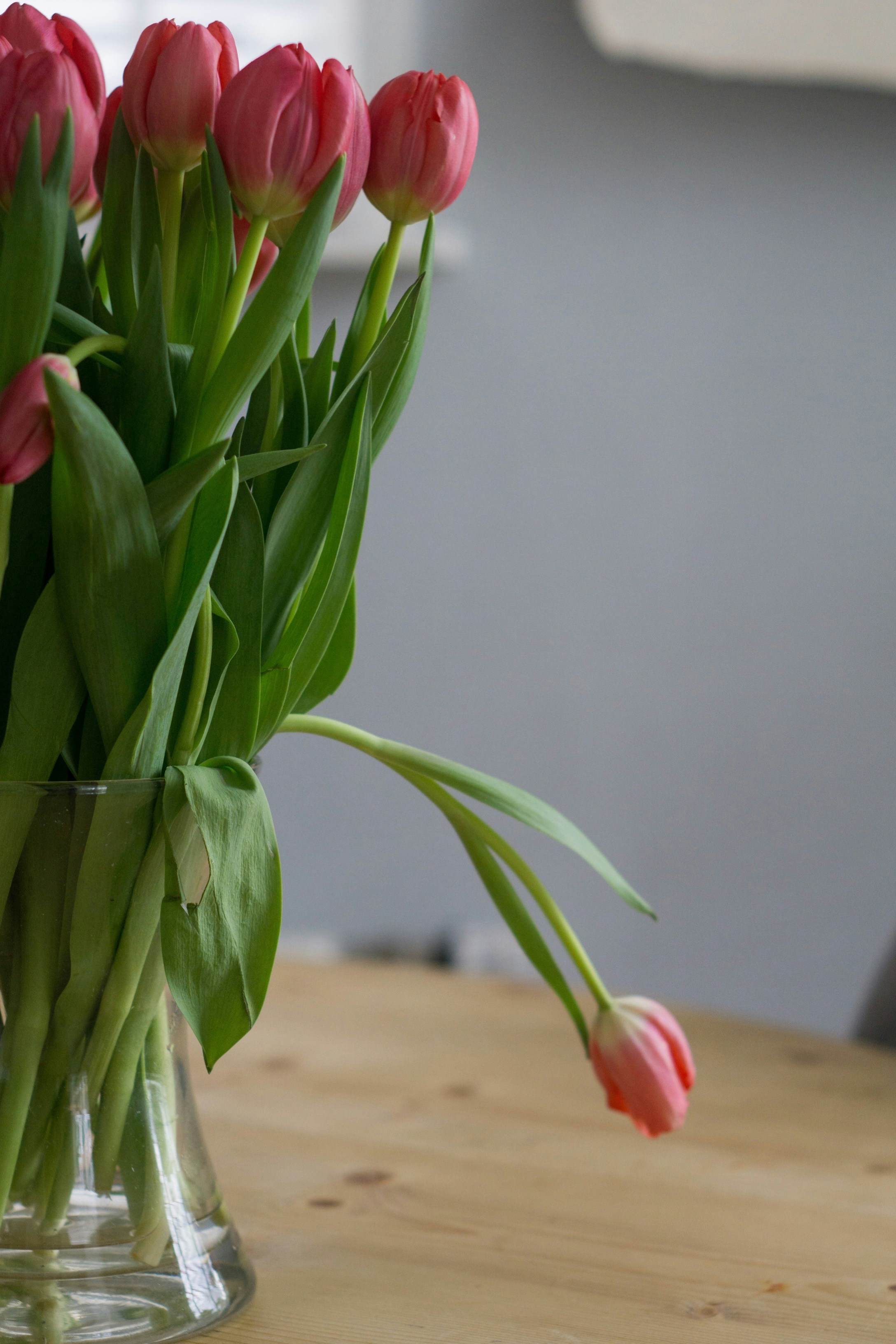 Vase with pink tulps
