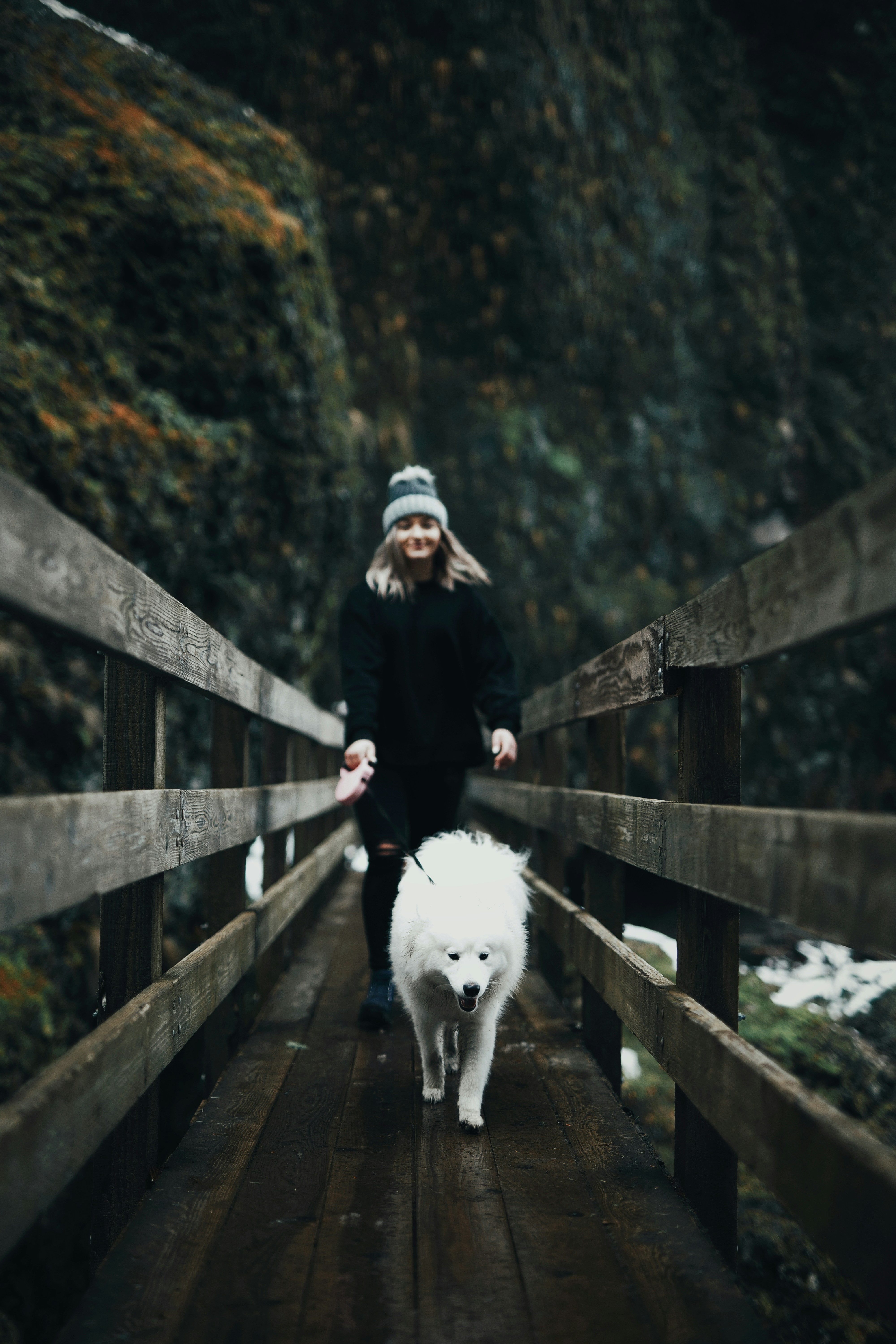 A white Samoyed walks toward the camera on a weathered wooden bridge, with a person in a knit hat following behind in a moody forest scene.