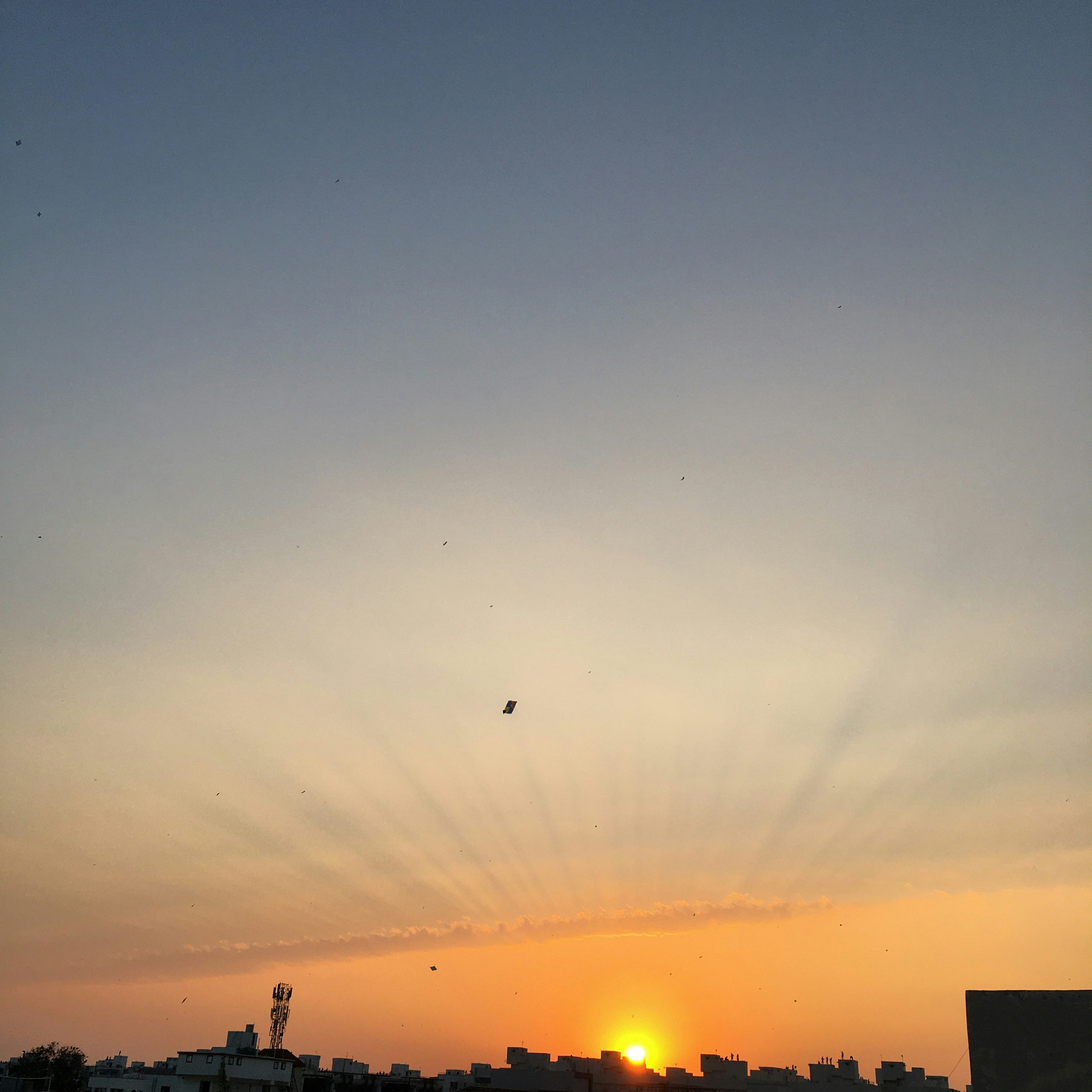 Makar Sankranti 