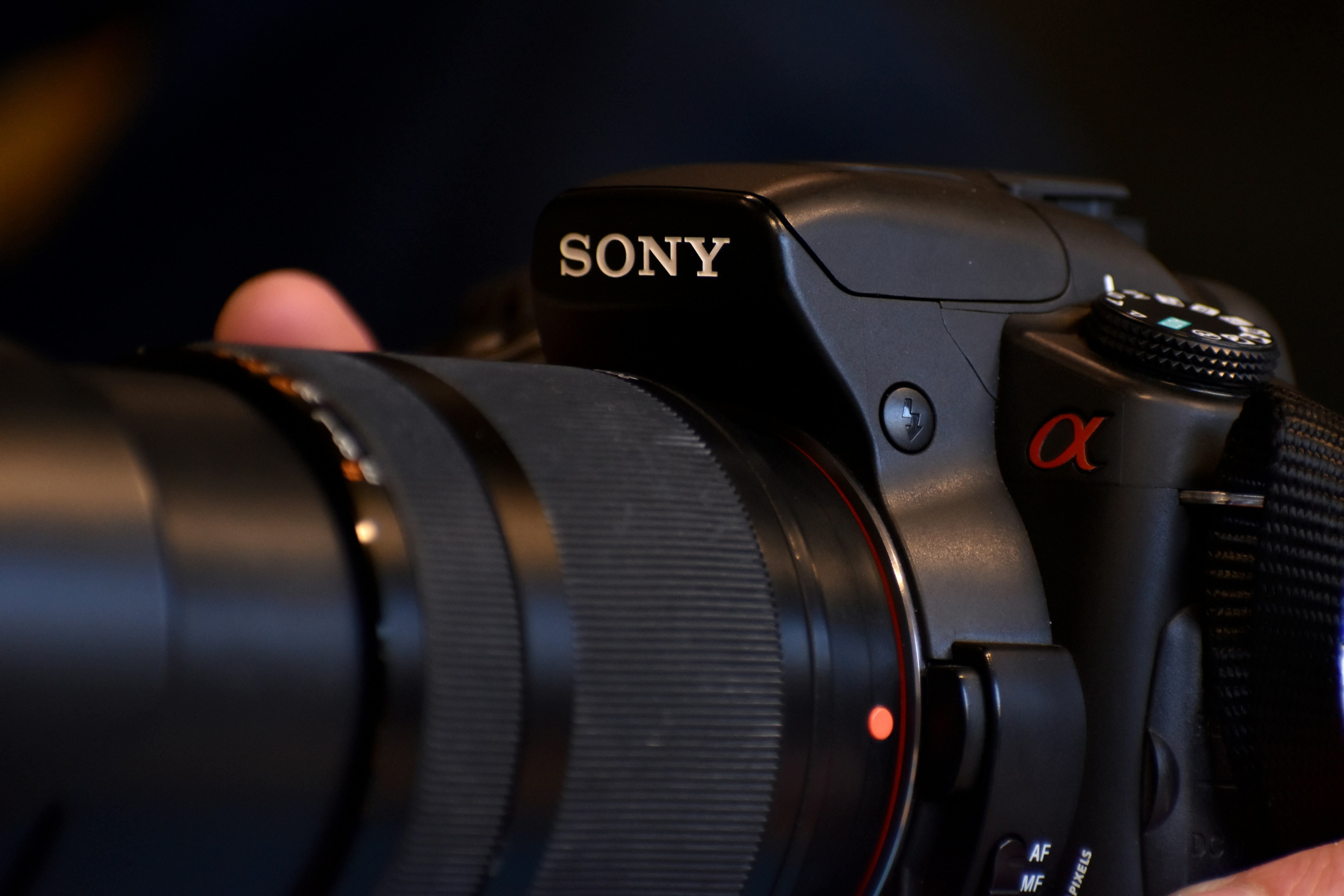 A Glimpse into Photography's Heart