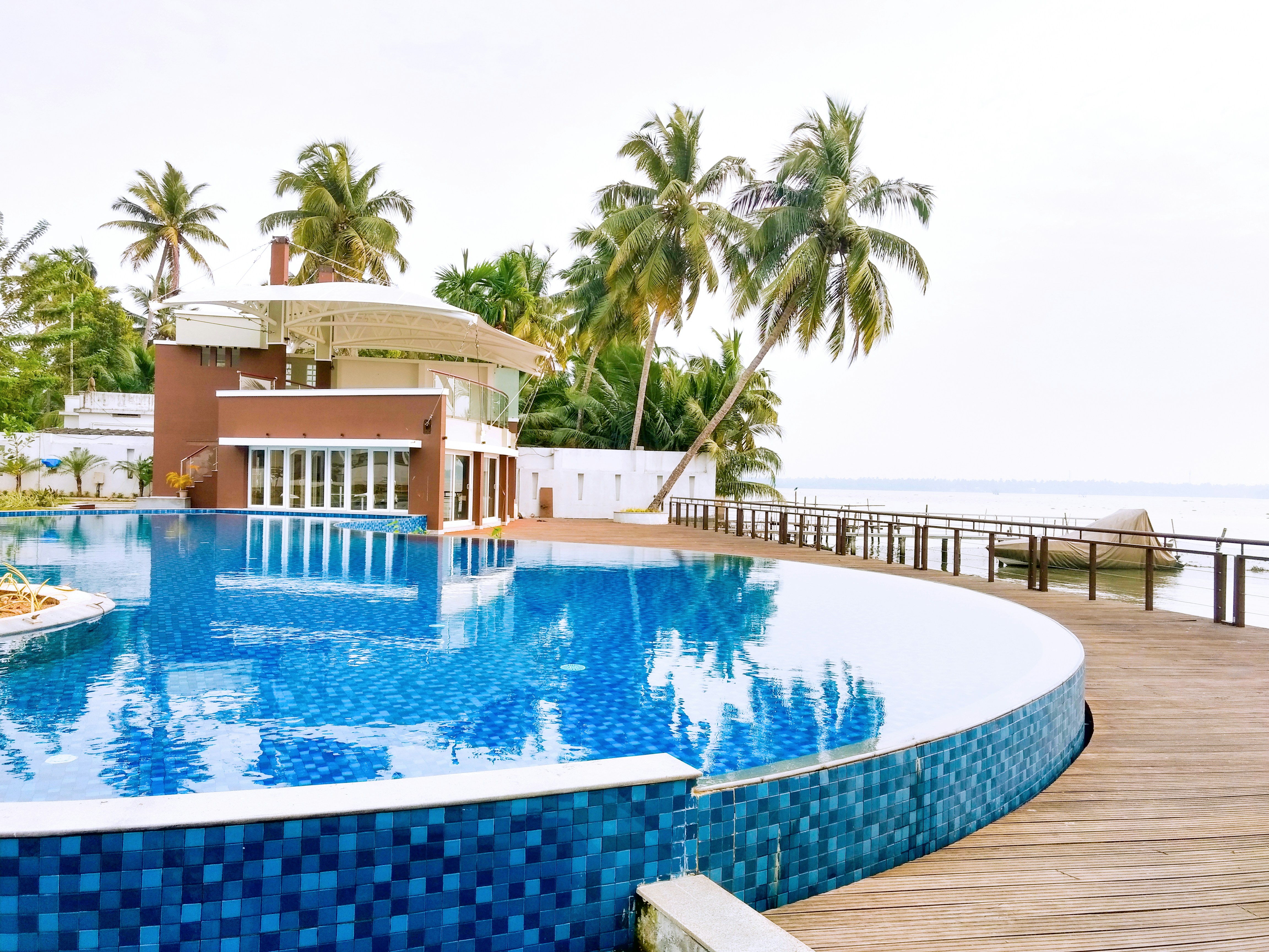 Infinity pool overlooking a tropical landscape with palm trees and a modern villa.