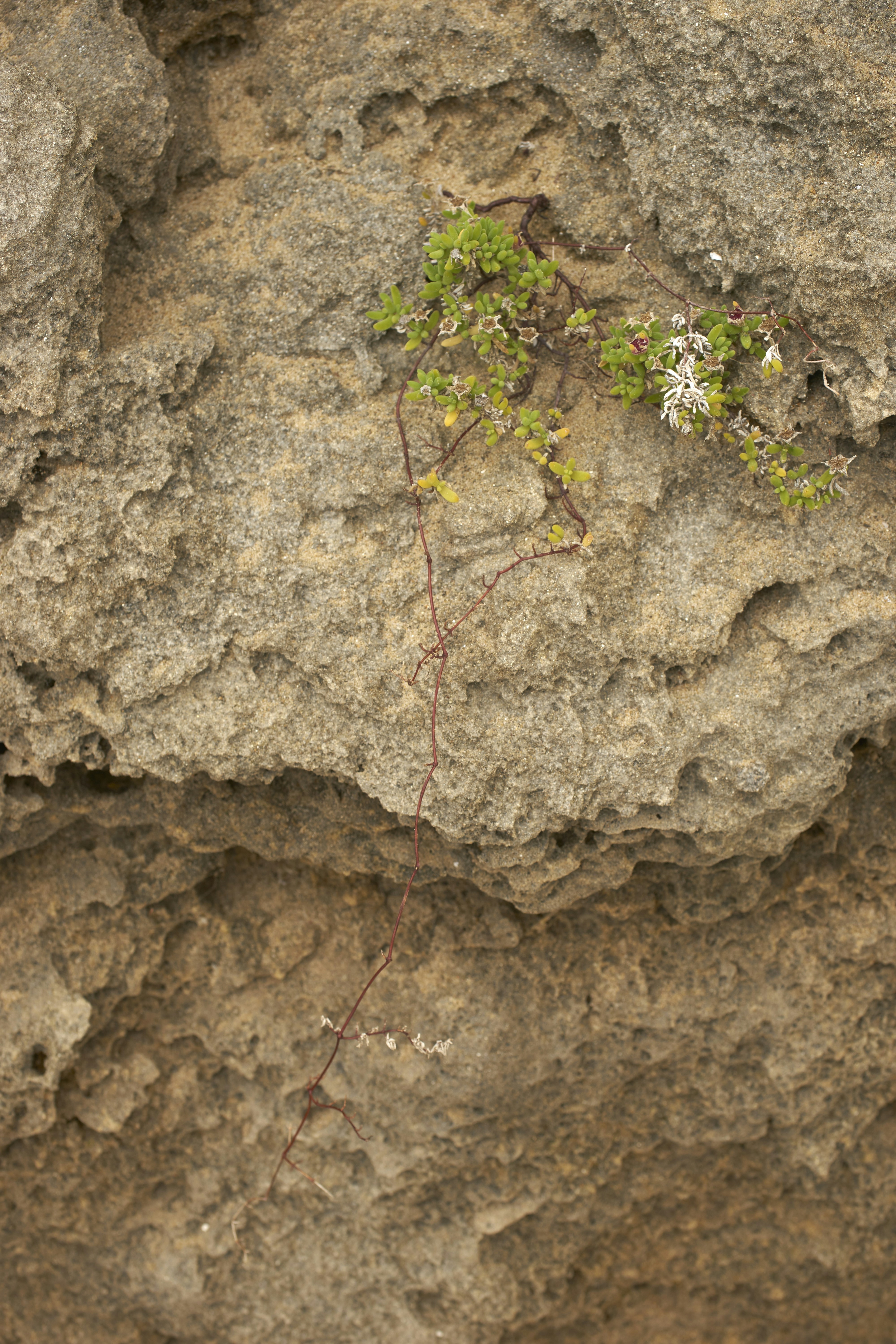 Soil Sampling Pictures | Download Free Images on Unsplash