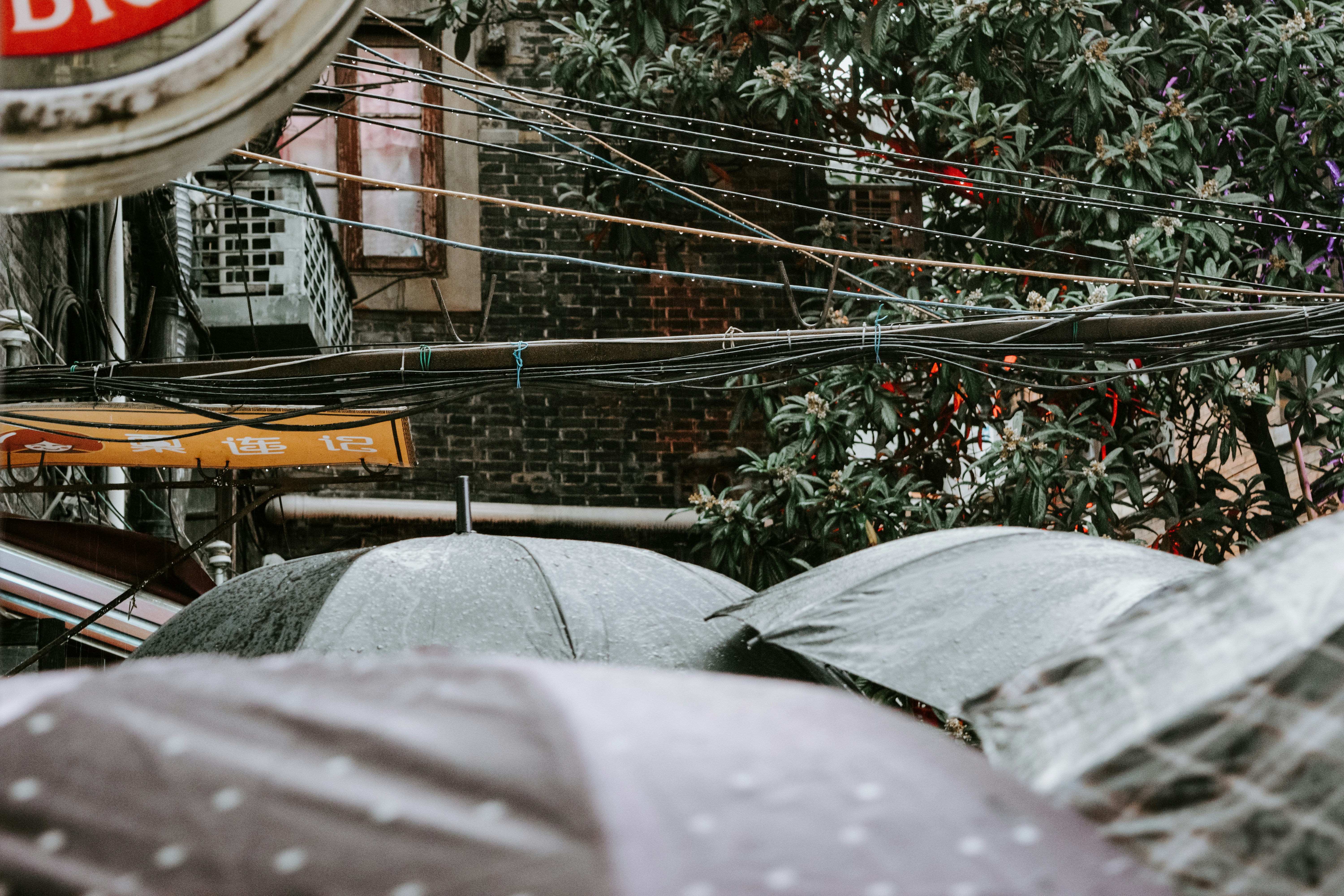 Photo by Max van den Oetelaar with Nikon D5300