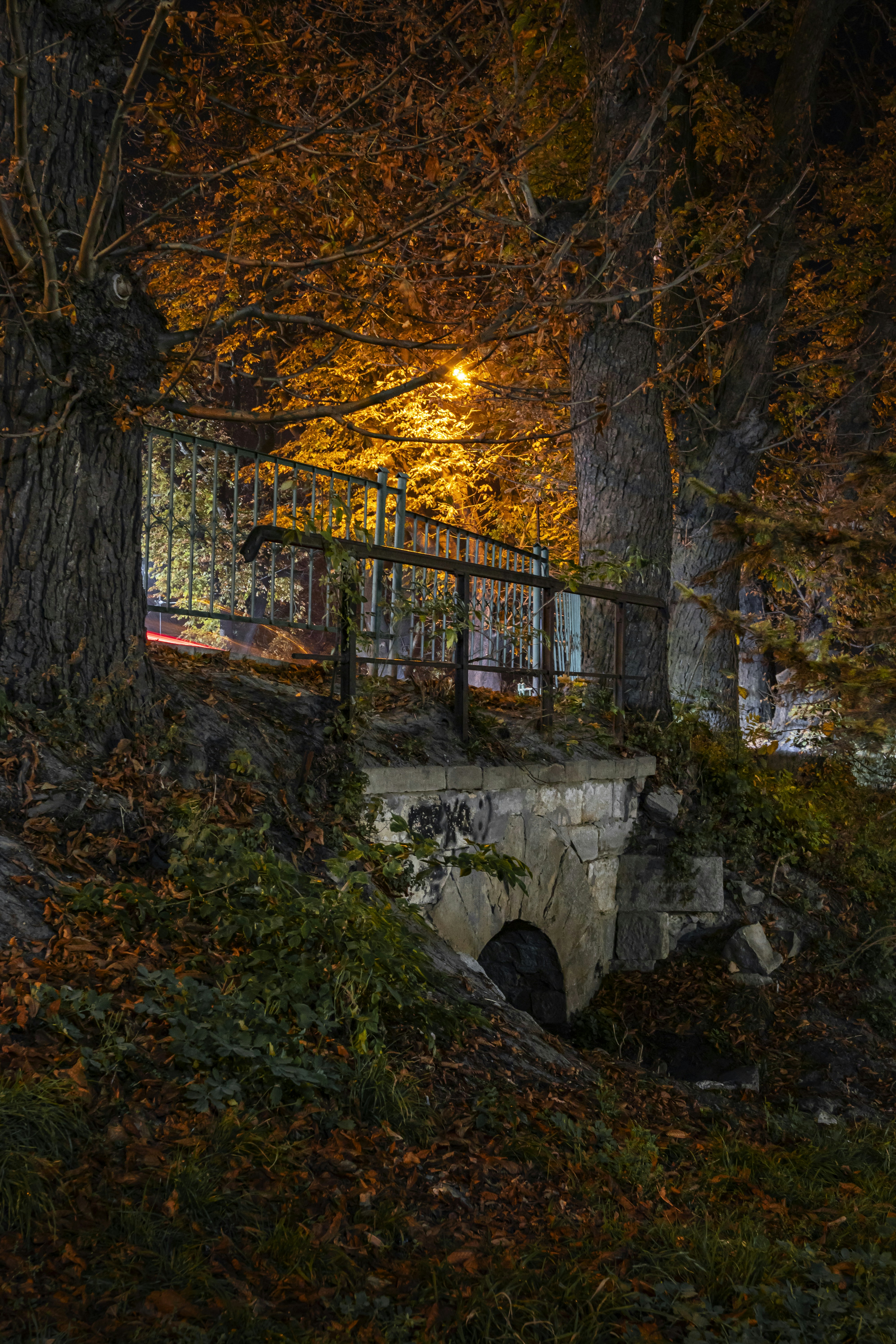 Night Bridge Under Orography: Lantern Light on Fallen Leaves