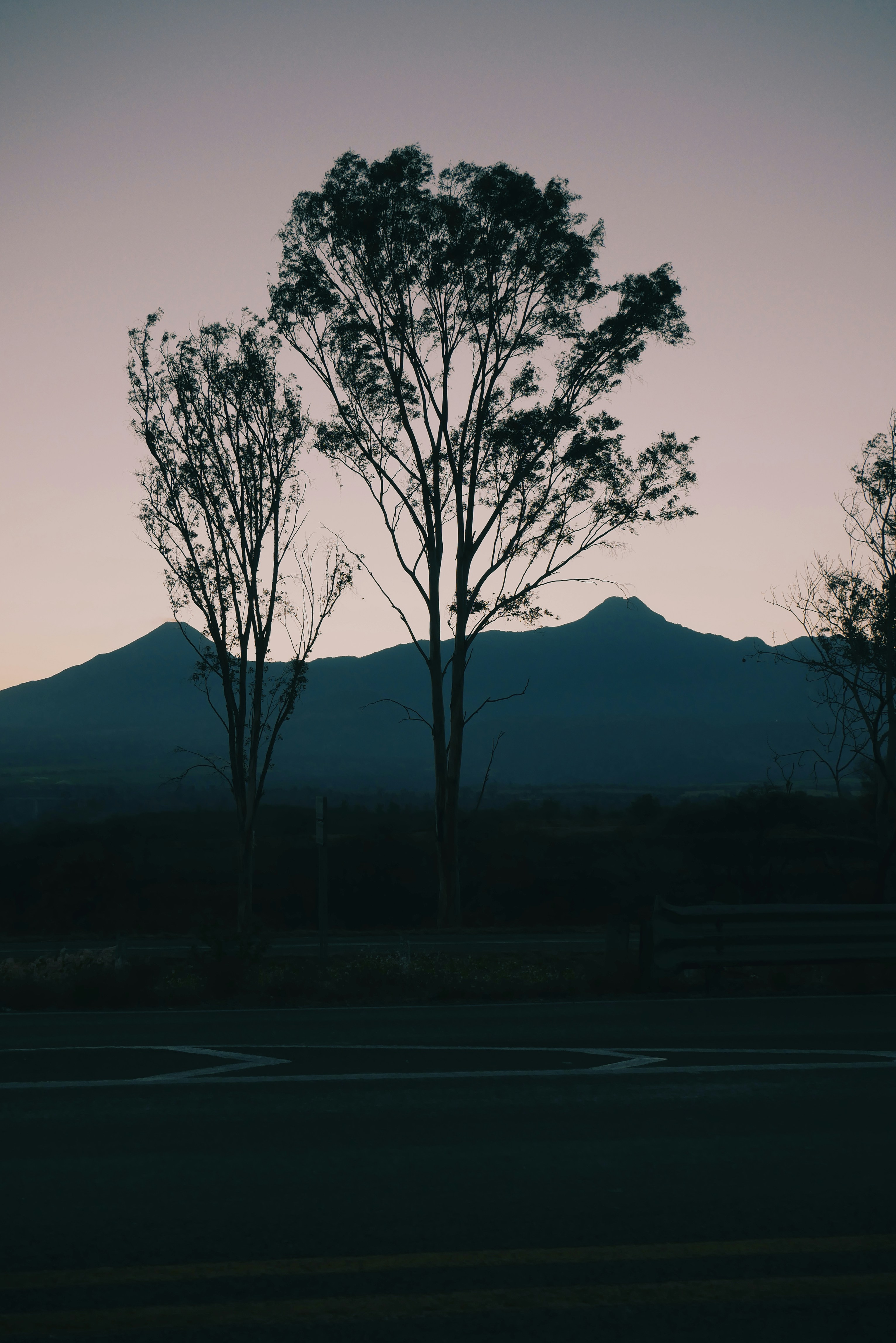 Silhouette of trees near mountain during daytime photo – Free Colima ...