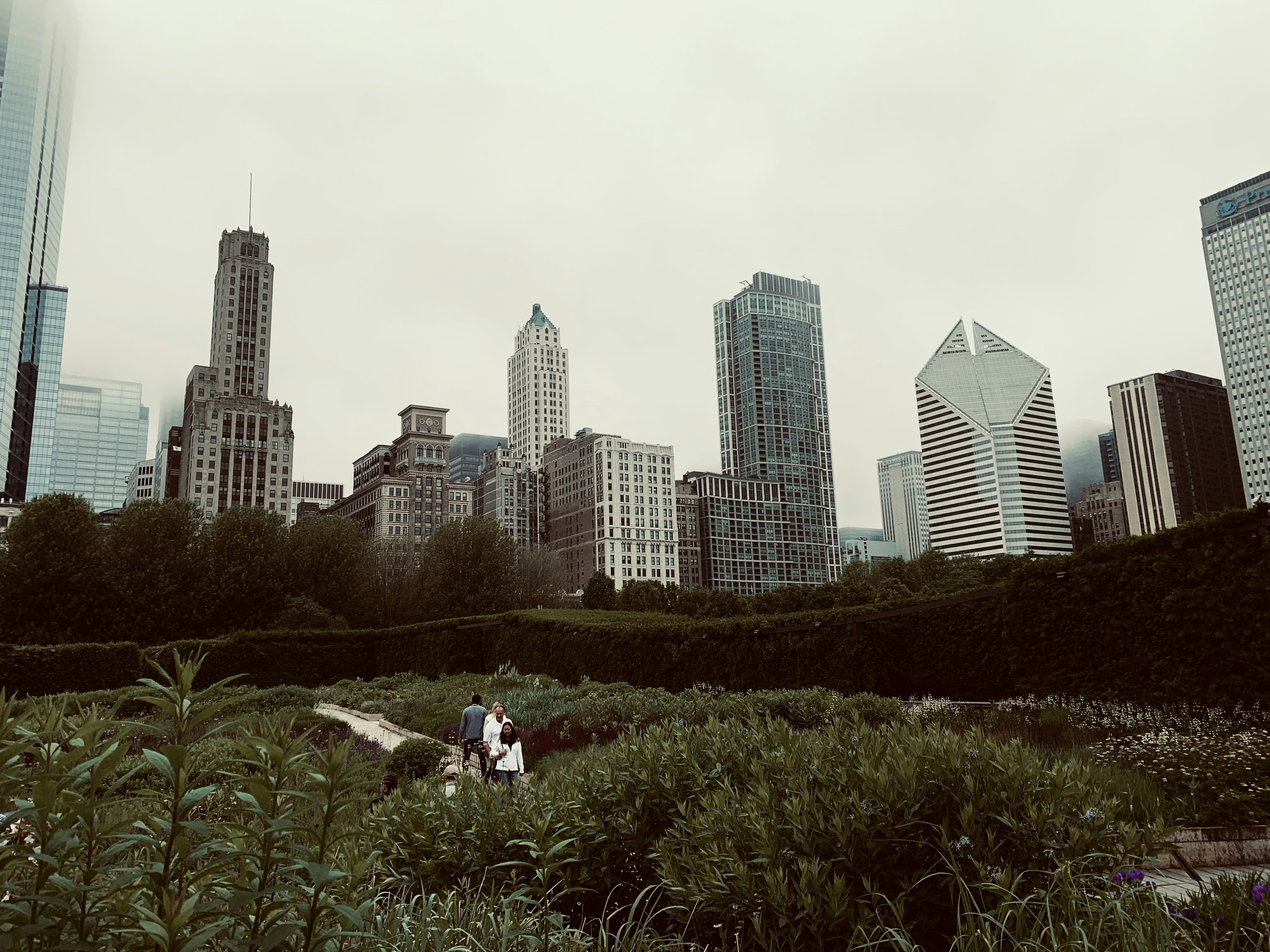 man in white shirt sitting on green grass field near high rise buildings during daytime