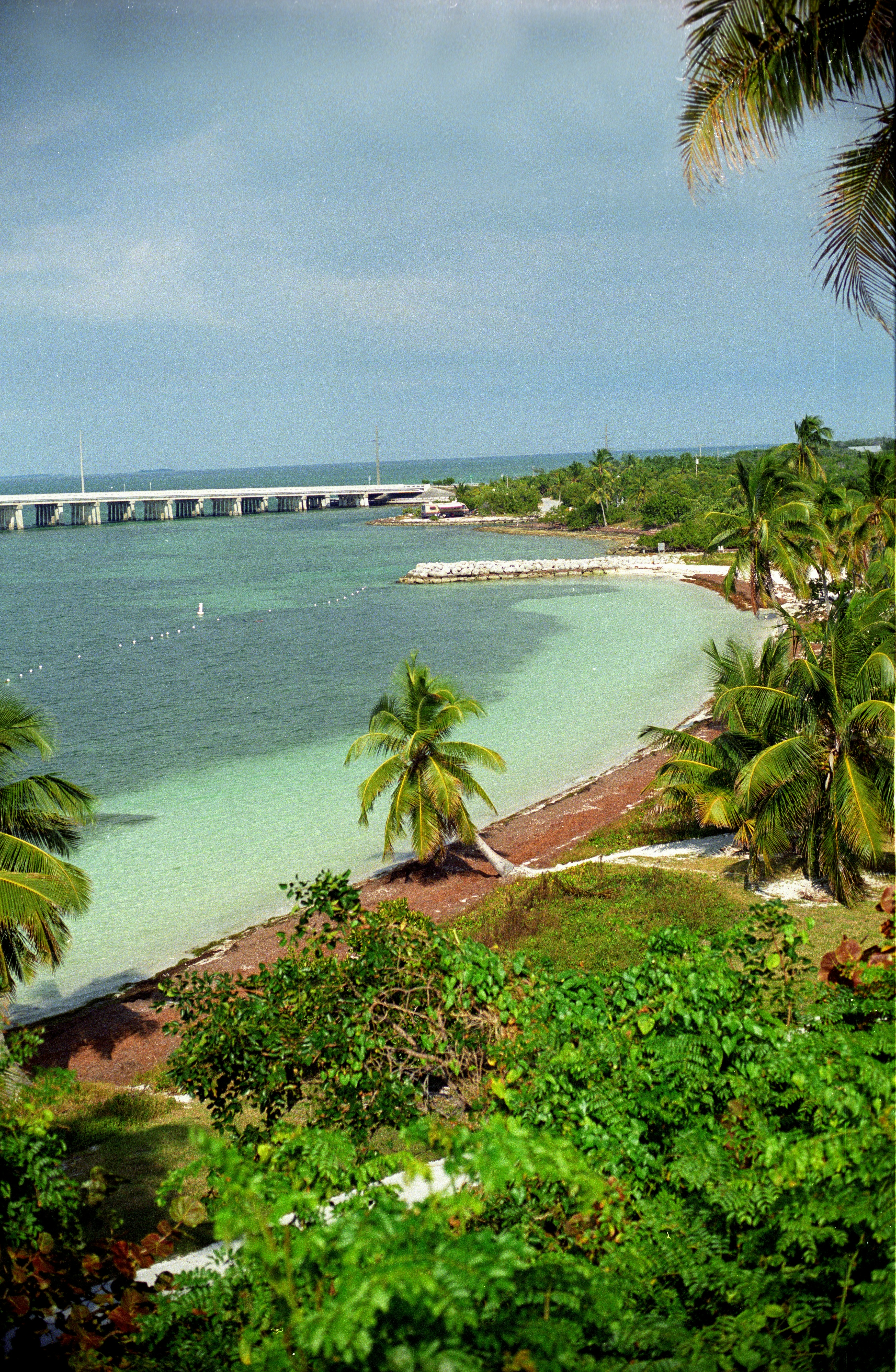 Palm-Fringed Shoreline and Distant Bridge: Quiet Caribbean Light