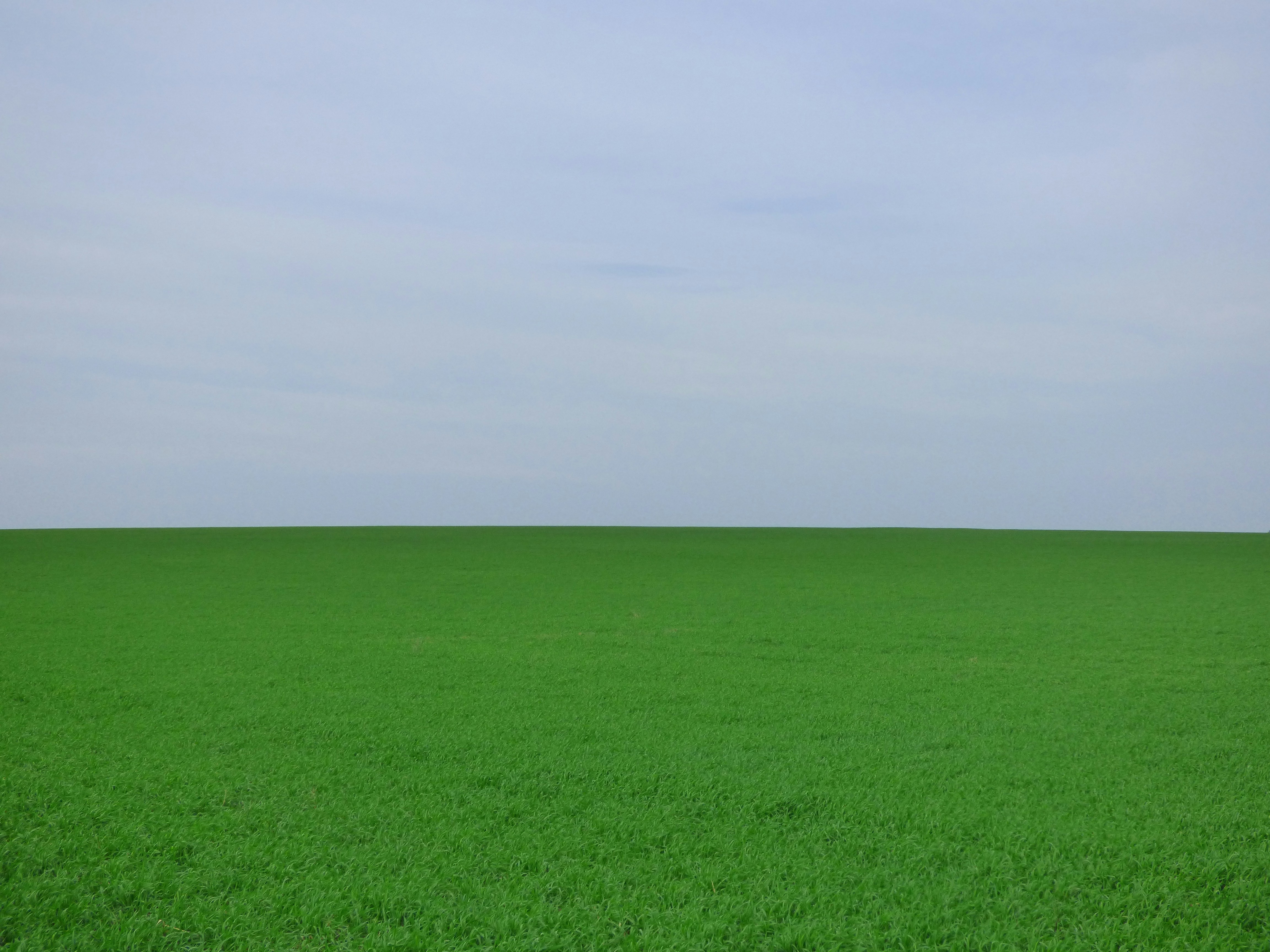 Sample photo from Panasonic Lumix FZ70