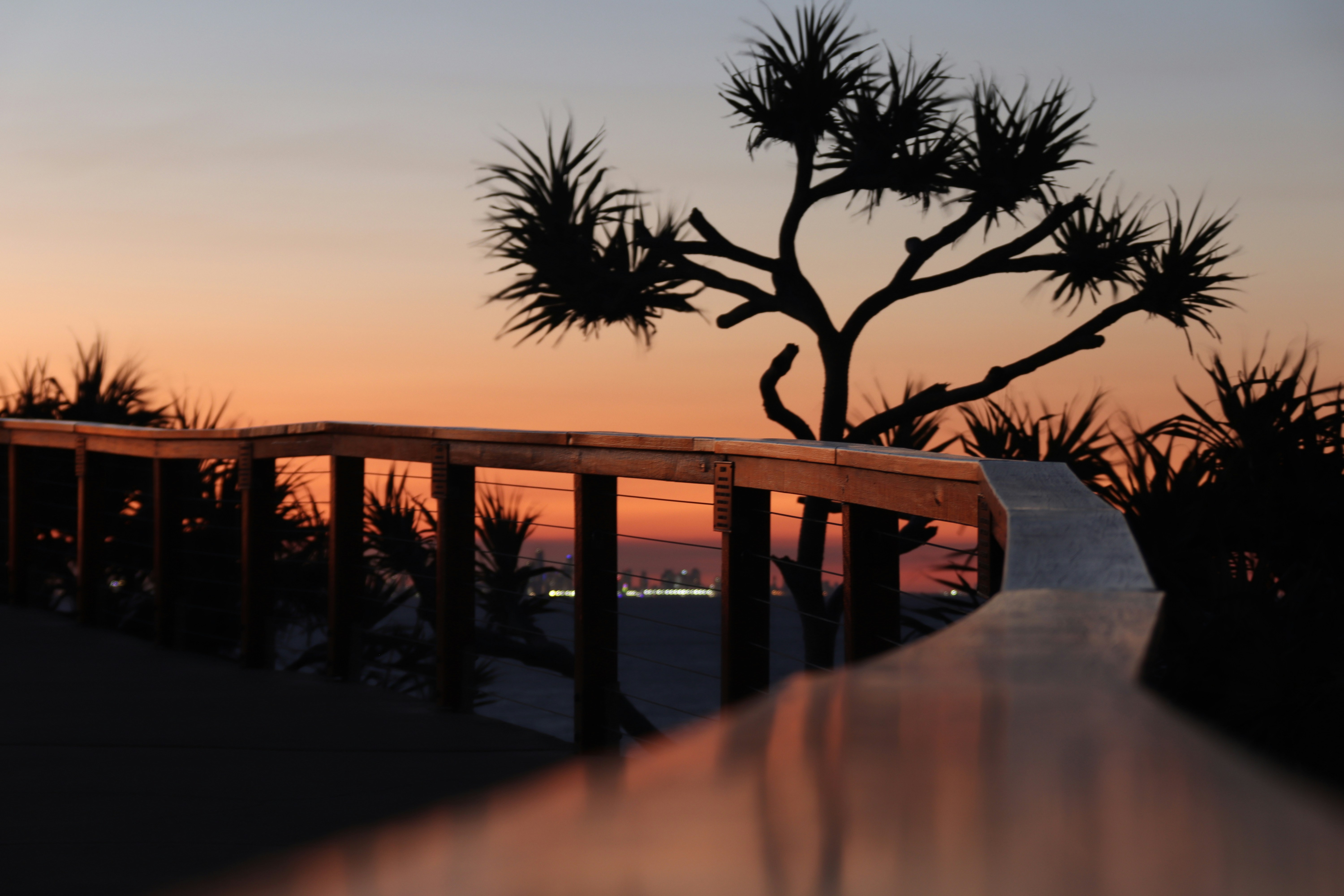 Palm tree near sea during sunset photo – Free Building Image on Unsplash