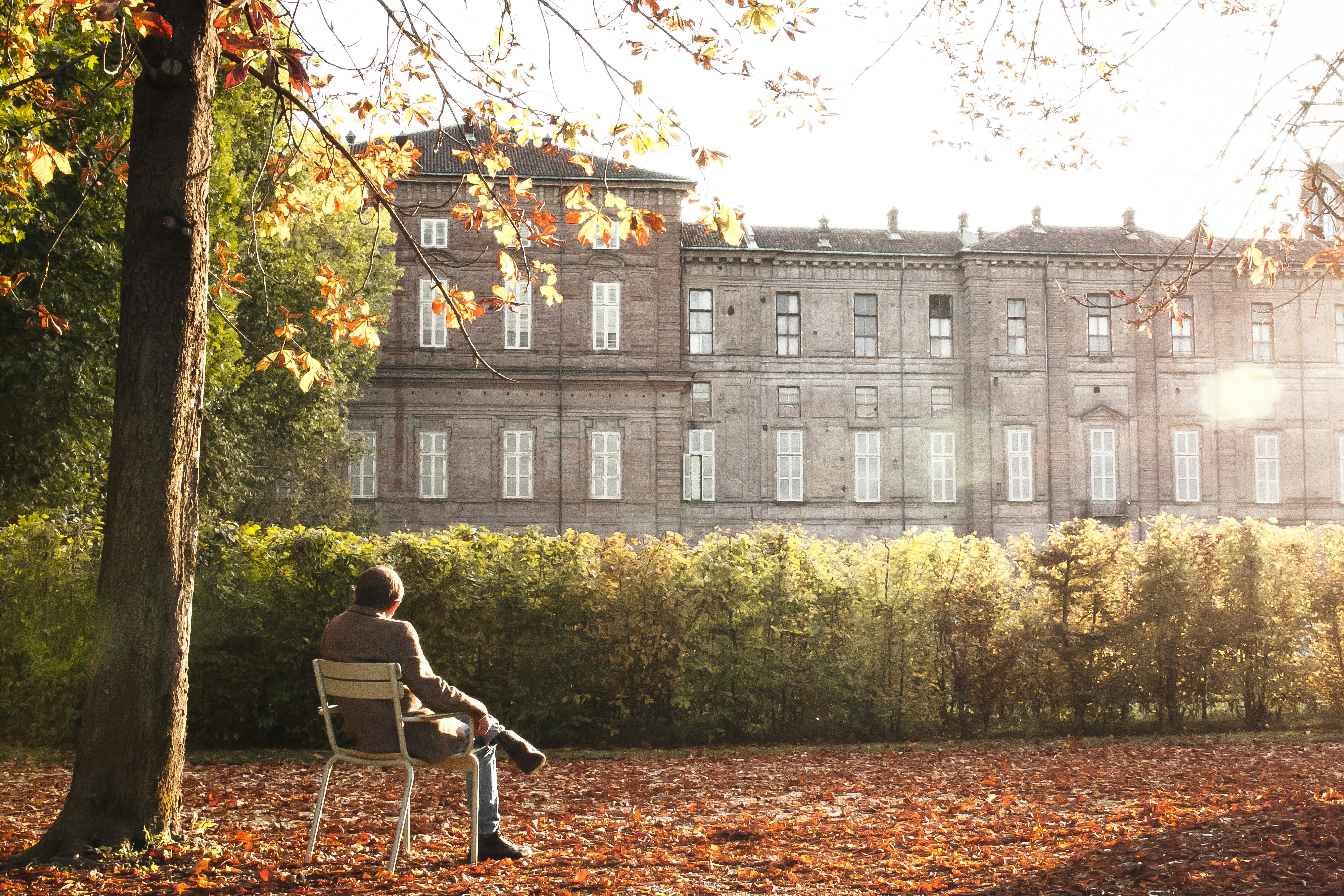 Autumn Contemplation by the Manor