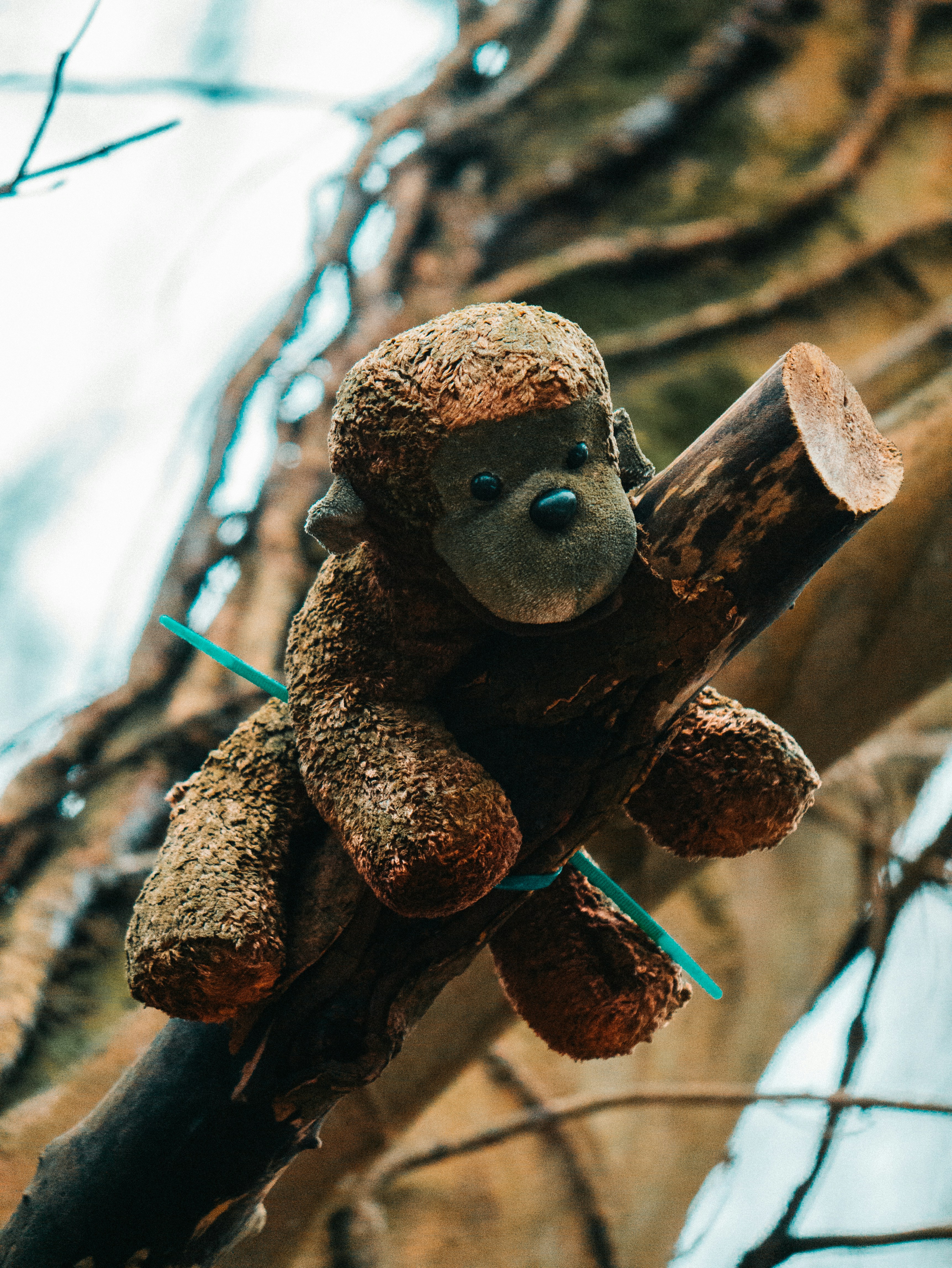 Whimsical Woodland Guardian