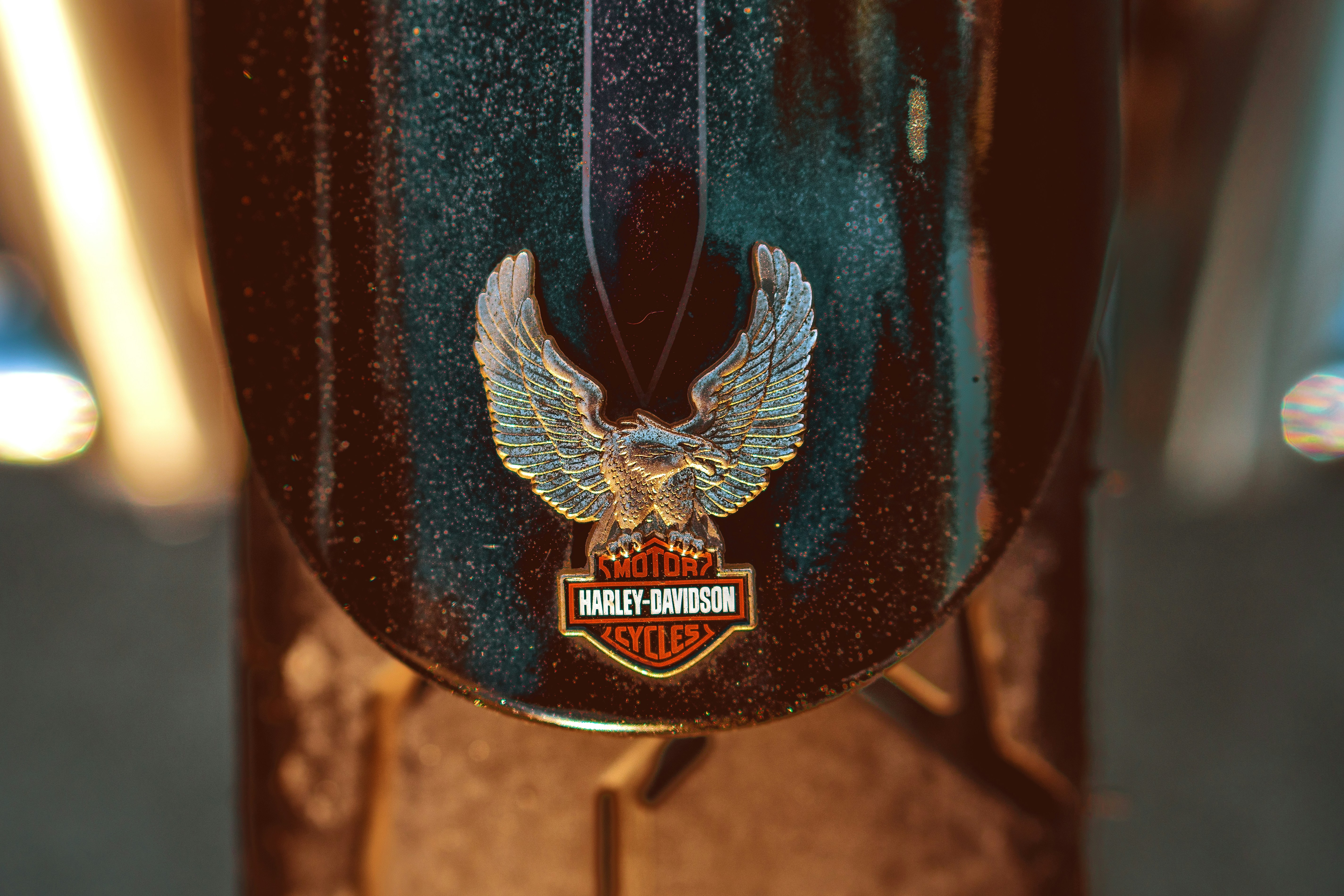 Winged Harley Crest Catching Light on a Turquoise Fender