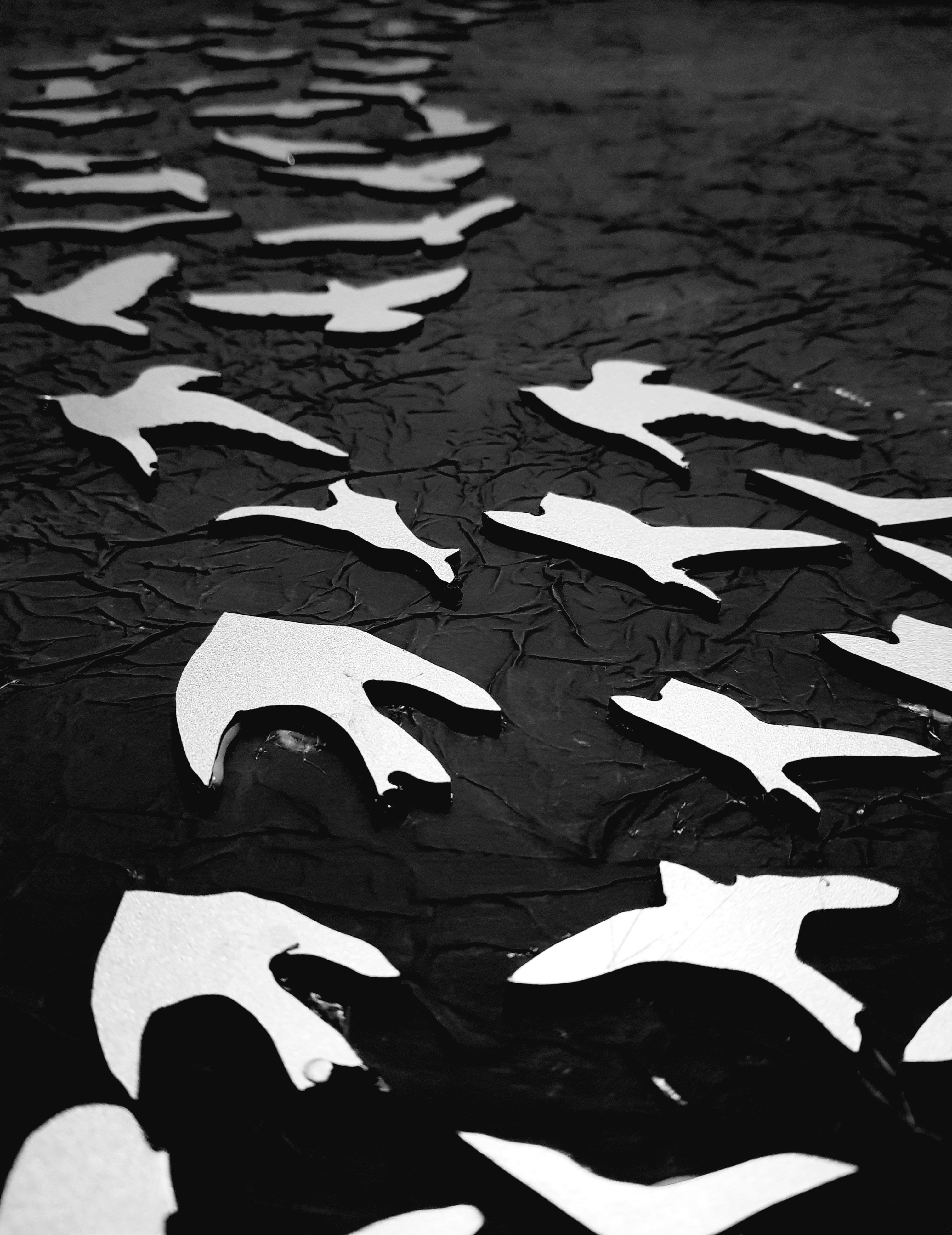 Photograph of white bird silhouettes scattered across a cracked black surface.