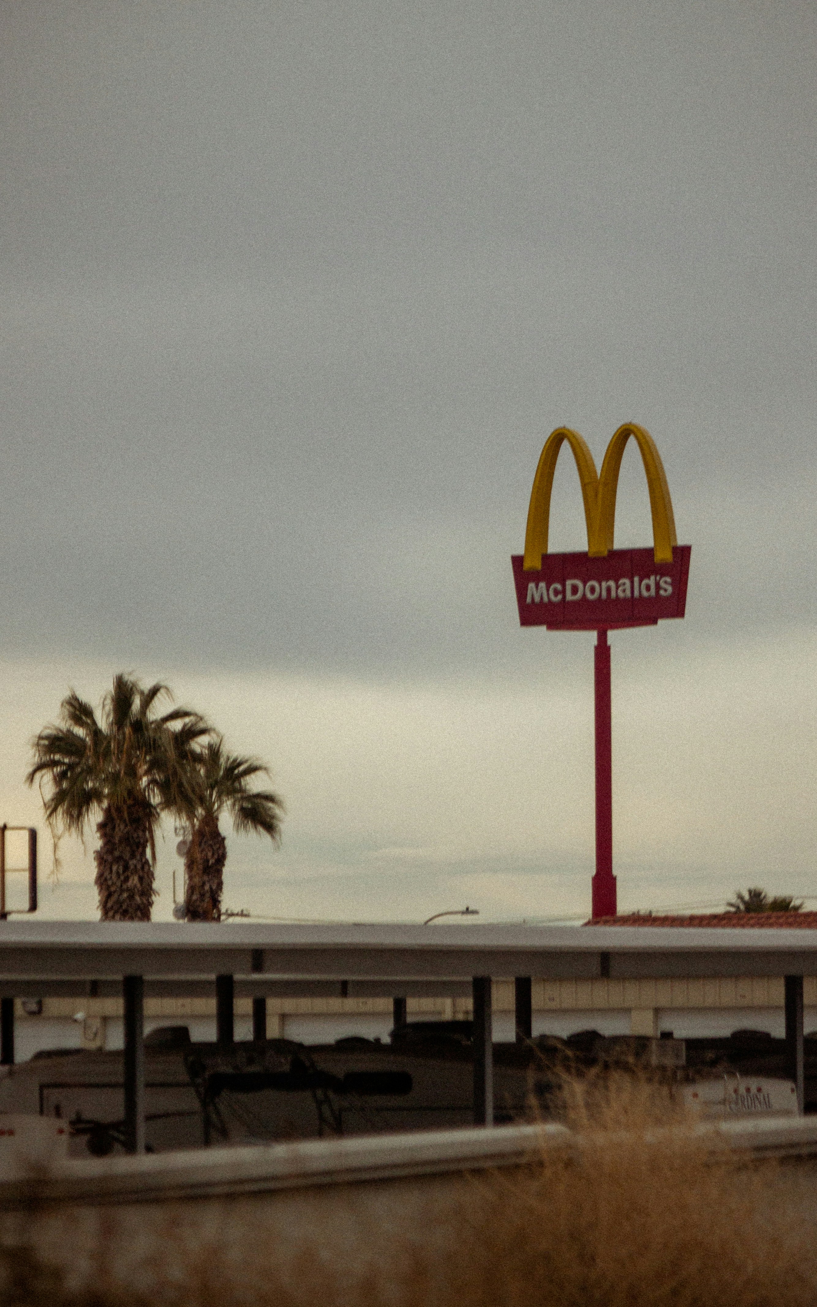 McDonald's sign towers above palm trees under an overcast sky, illustrating a blend of urban and natural elements.