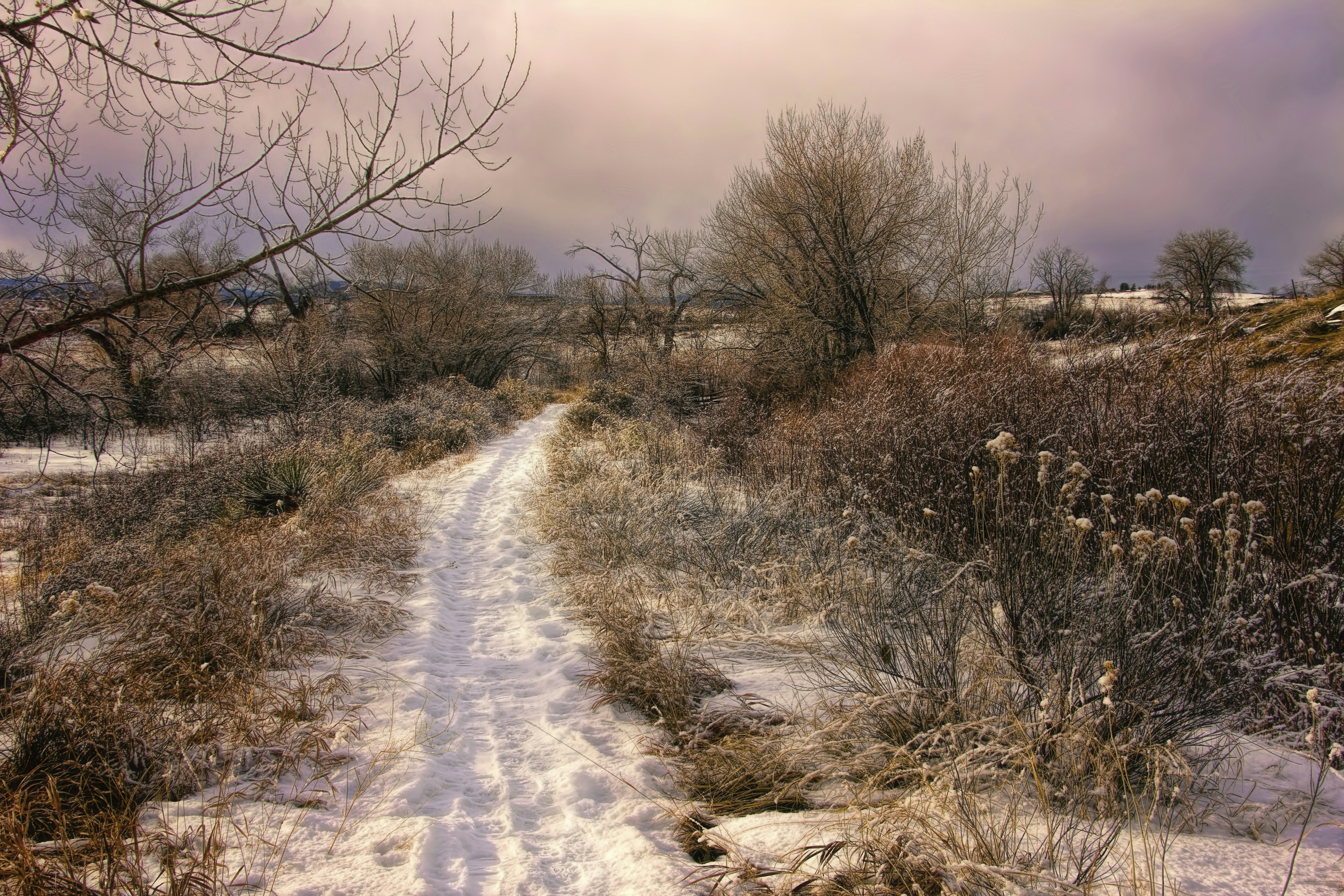 Snow-dusted path winding through a serene, frosty landscape under a soft pink sky.