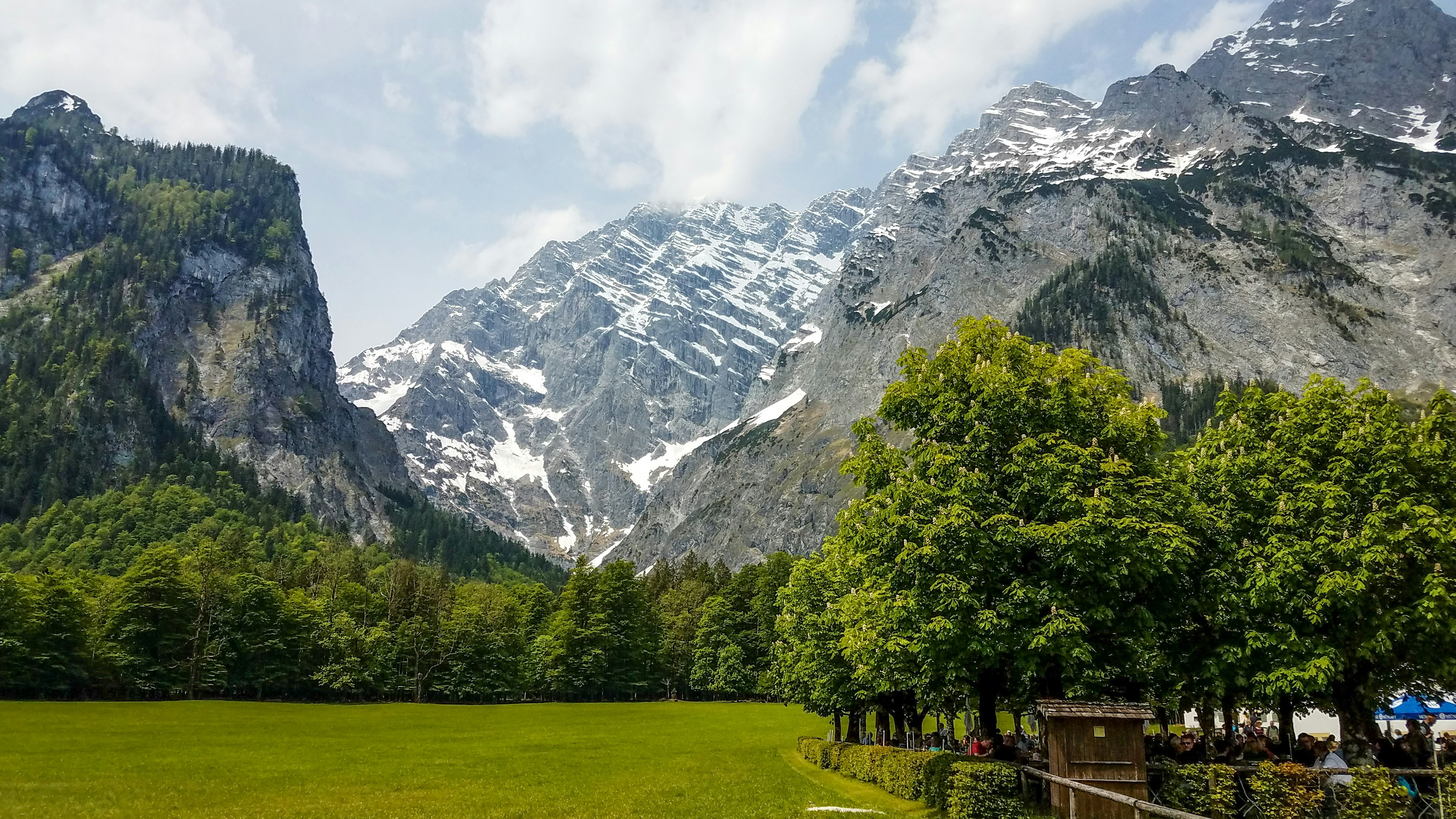 Mountain Glade Under Snow-kissed Peaks
