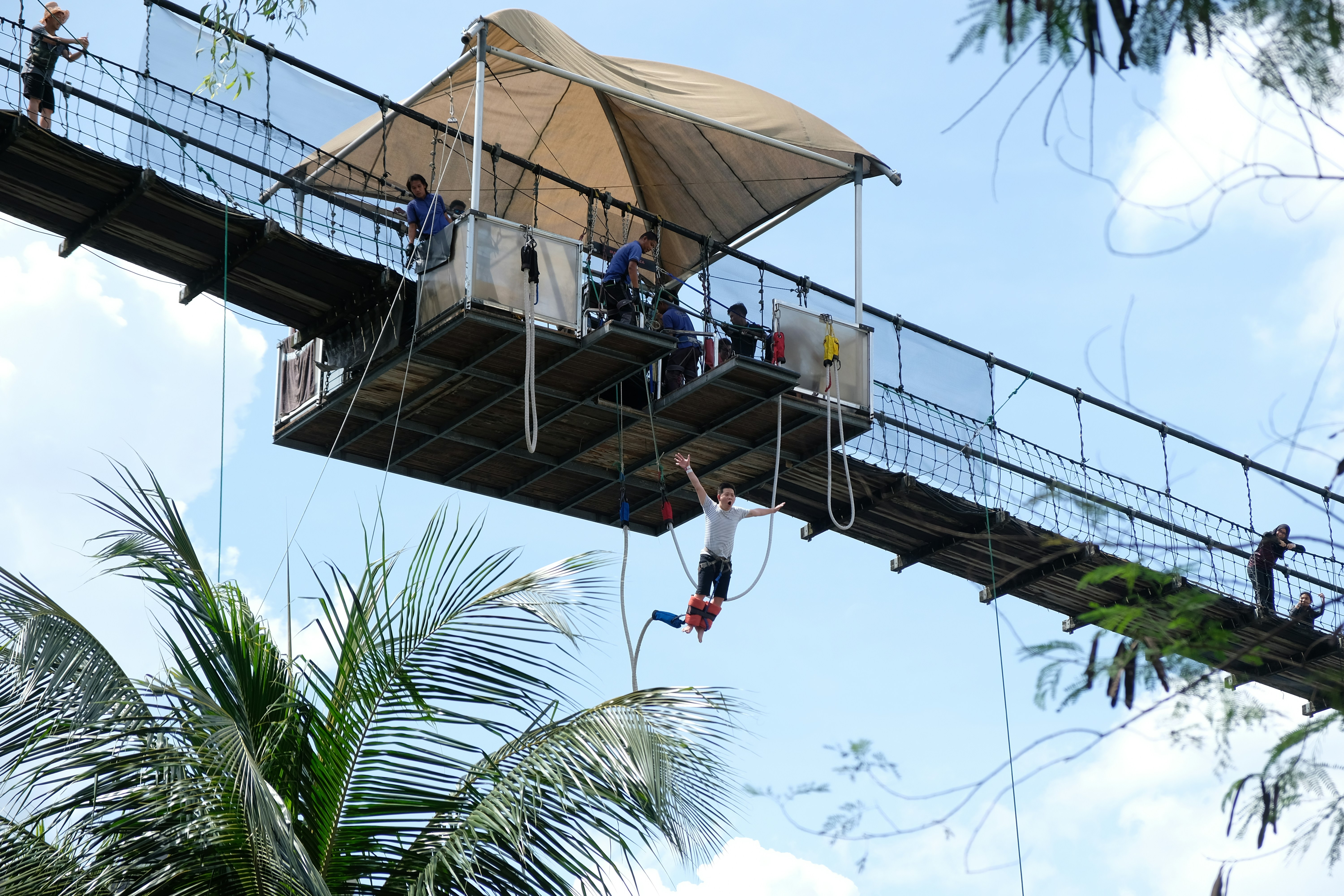 People on top of brown wooden hanging bridge during daytime photo ...