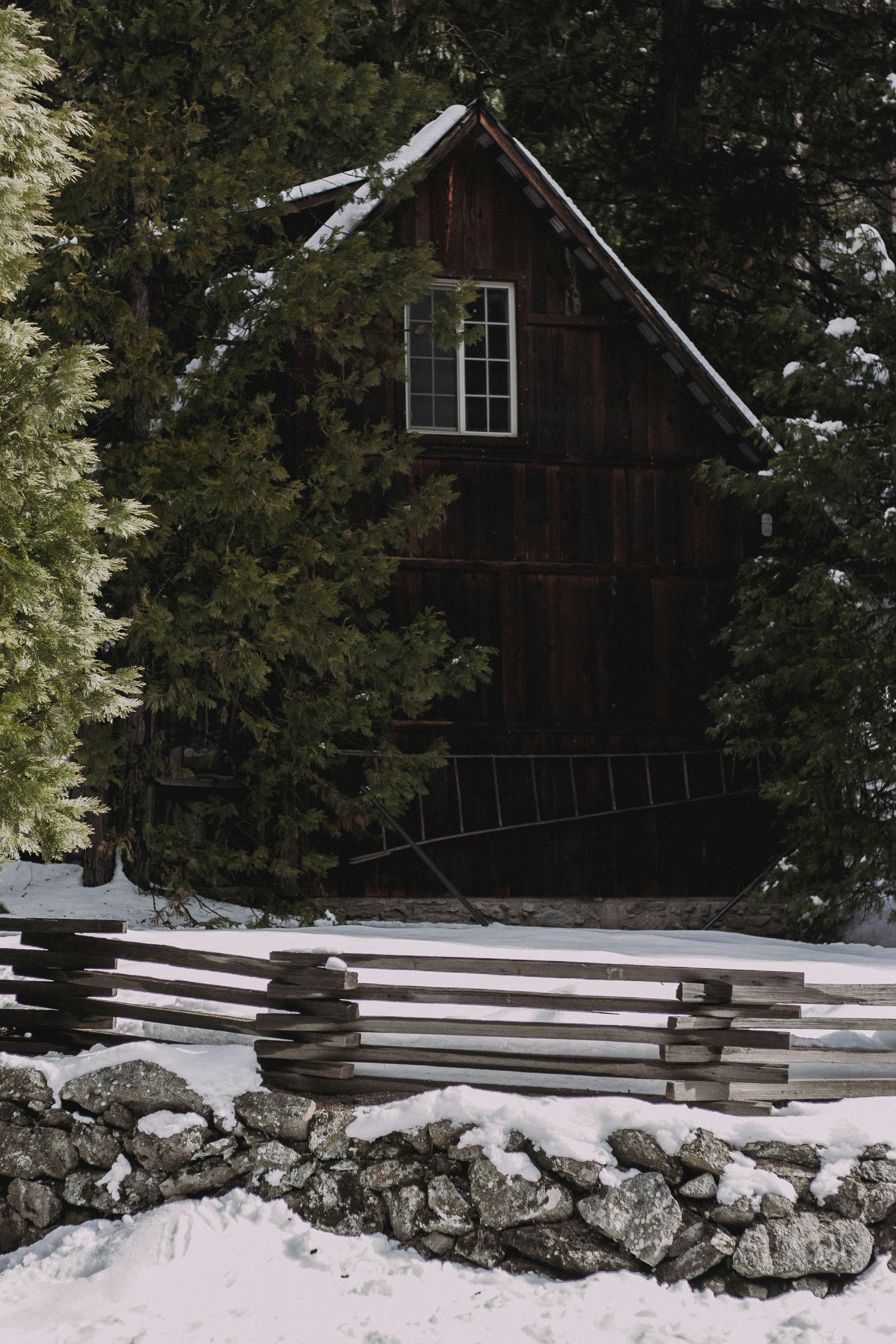 A wooden cabin partially obscured by evergreen trees, surrounded by a snowy landscape and a stone fence.