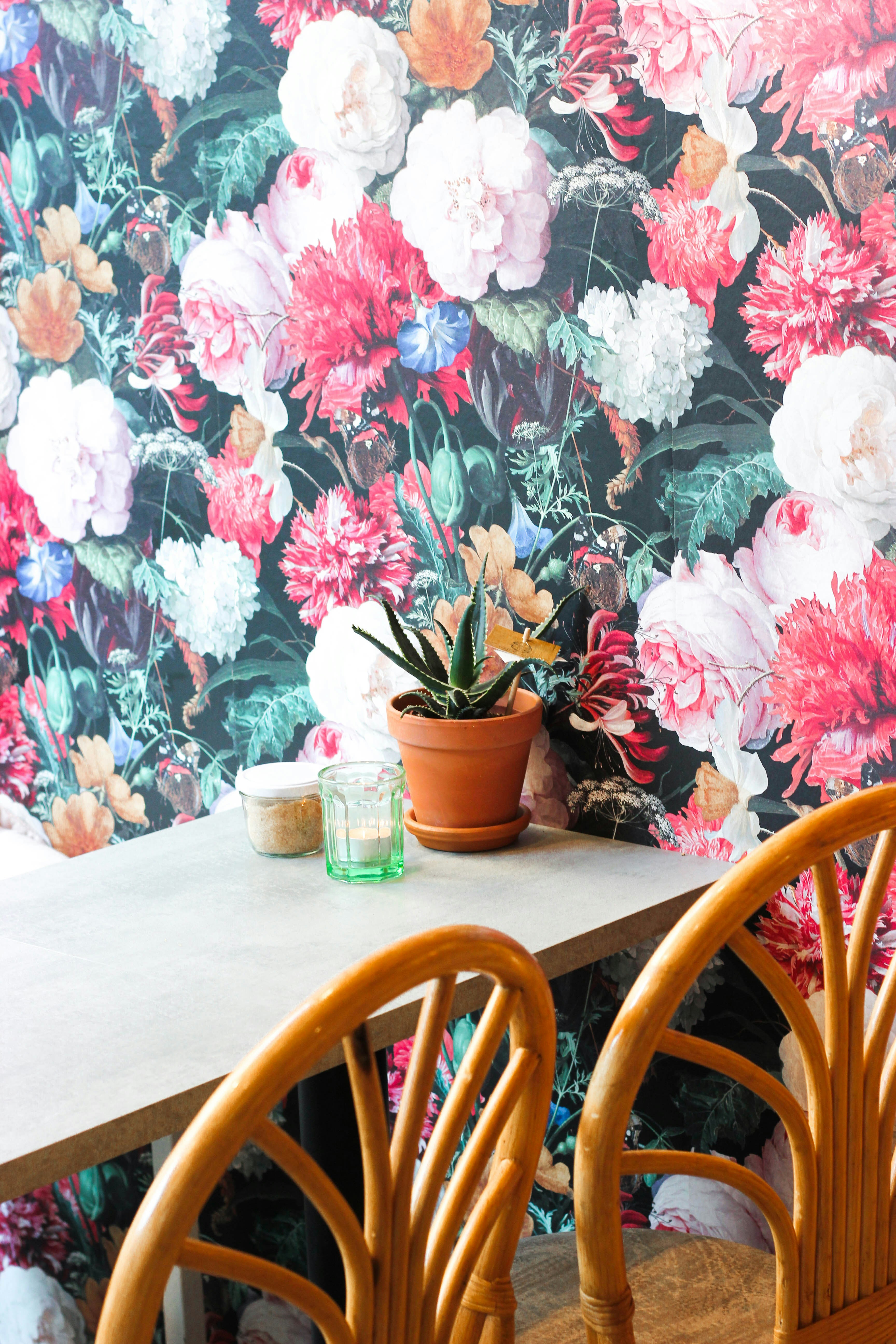 Terracotta Pot Anchored on a Concrete Table Before a Lush Floral Backdrop