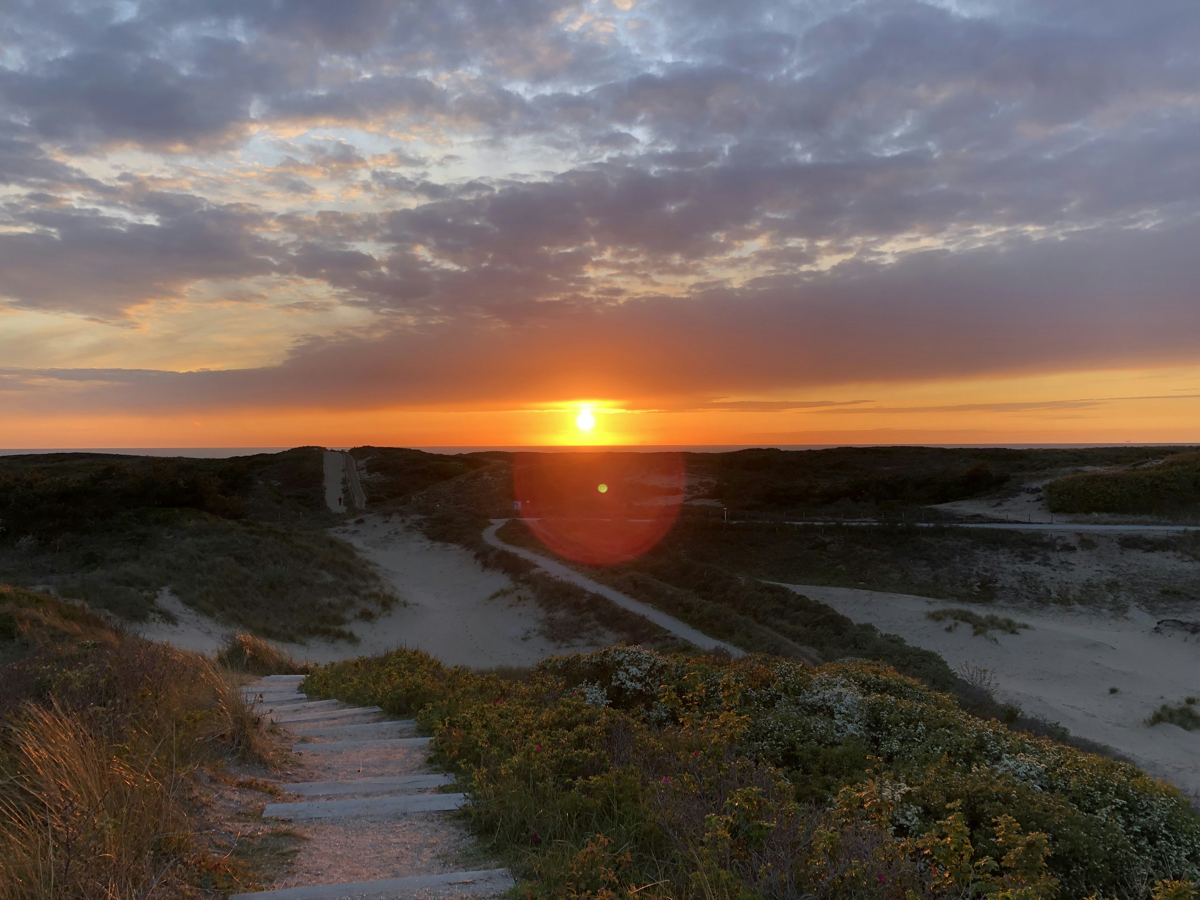 Définition de zée | Dictionnaire français