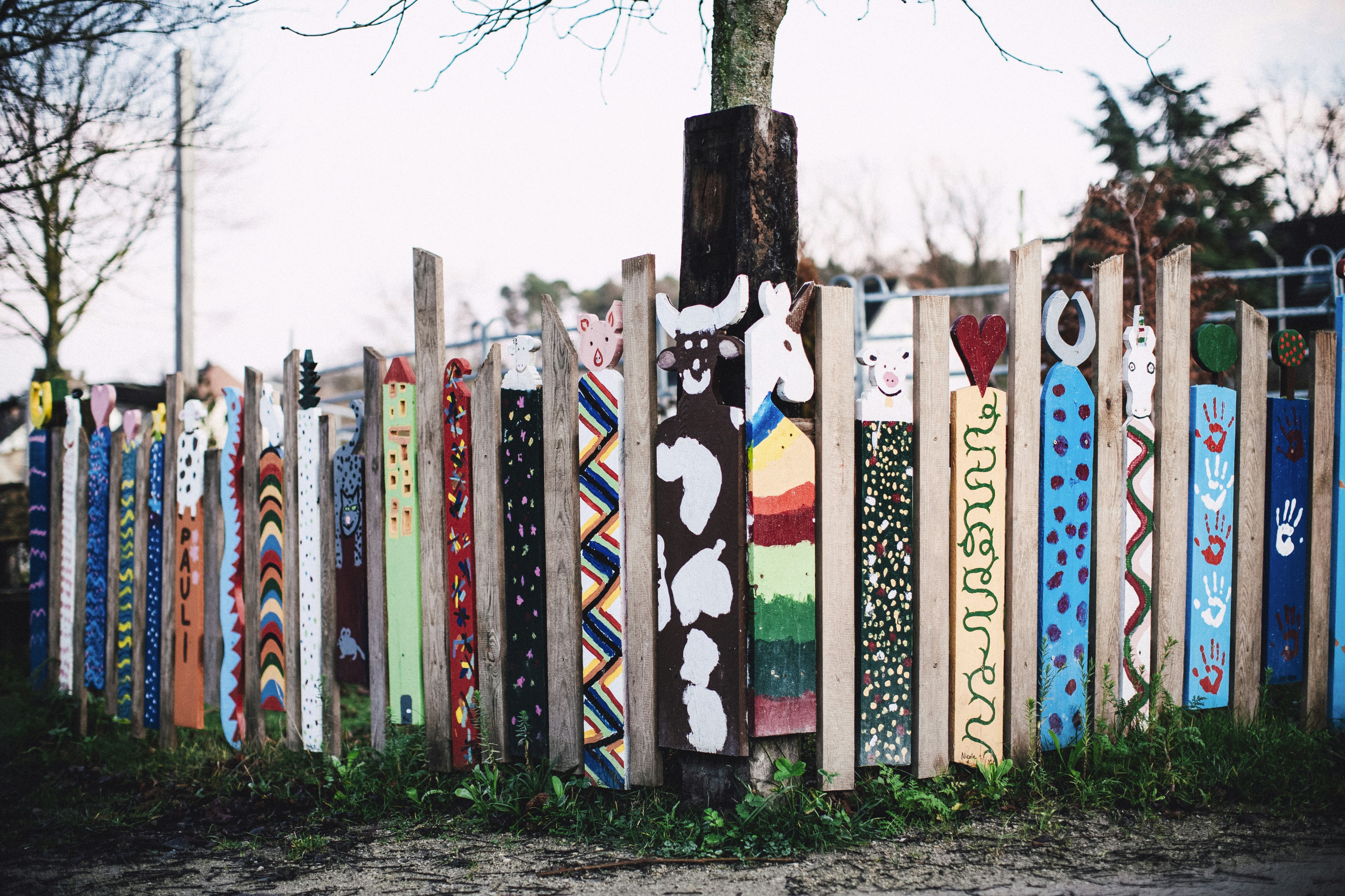 Wonderful handcraft colored garden fence | multi colored wooden fence near trees during daytime