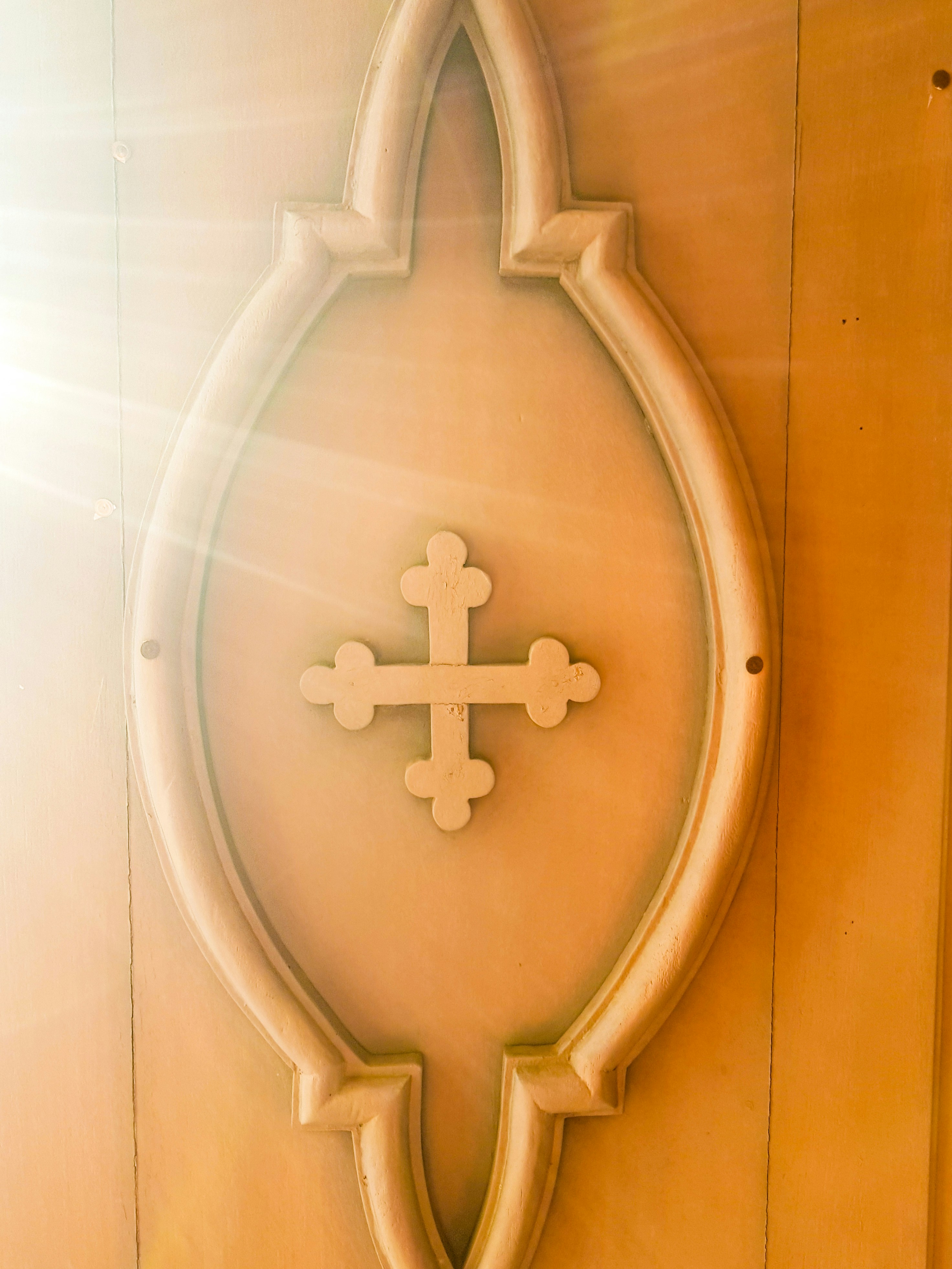 Sunlit Emblem on Wooden Door