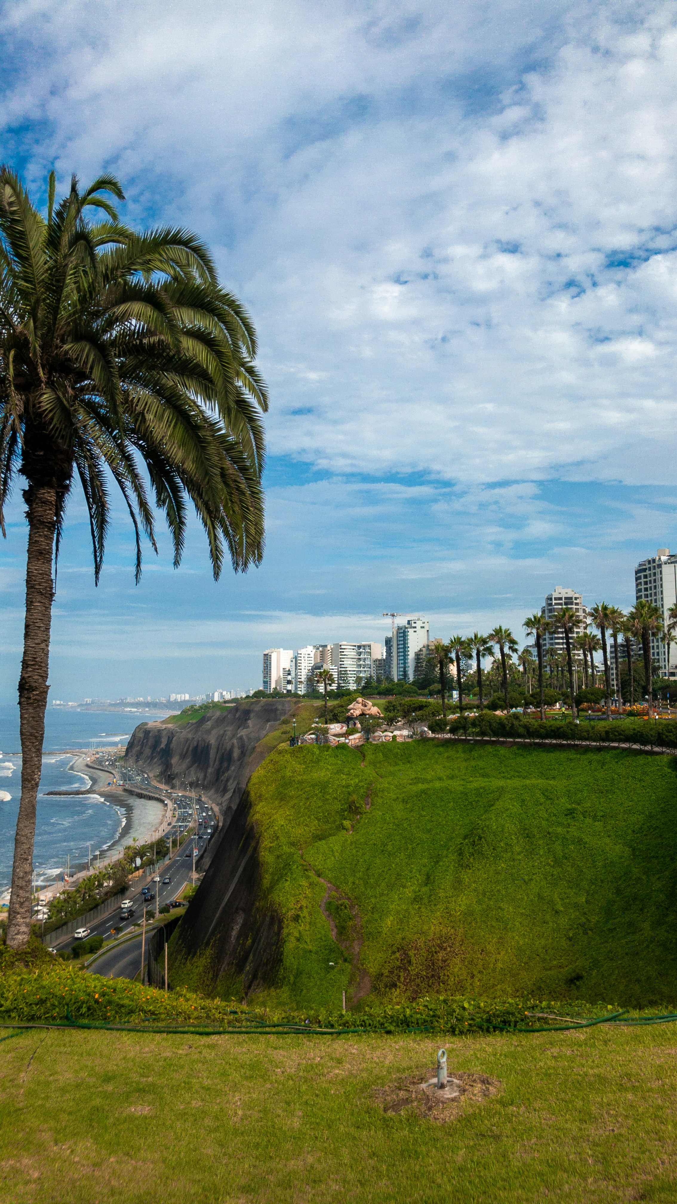 Cliffside Palm Promenade Under a Sail of Clouds
