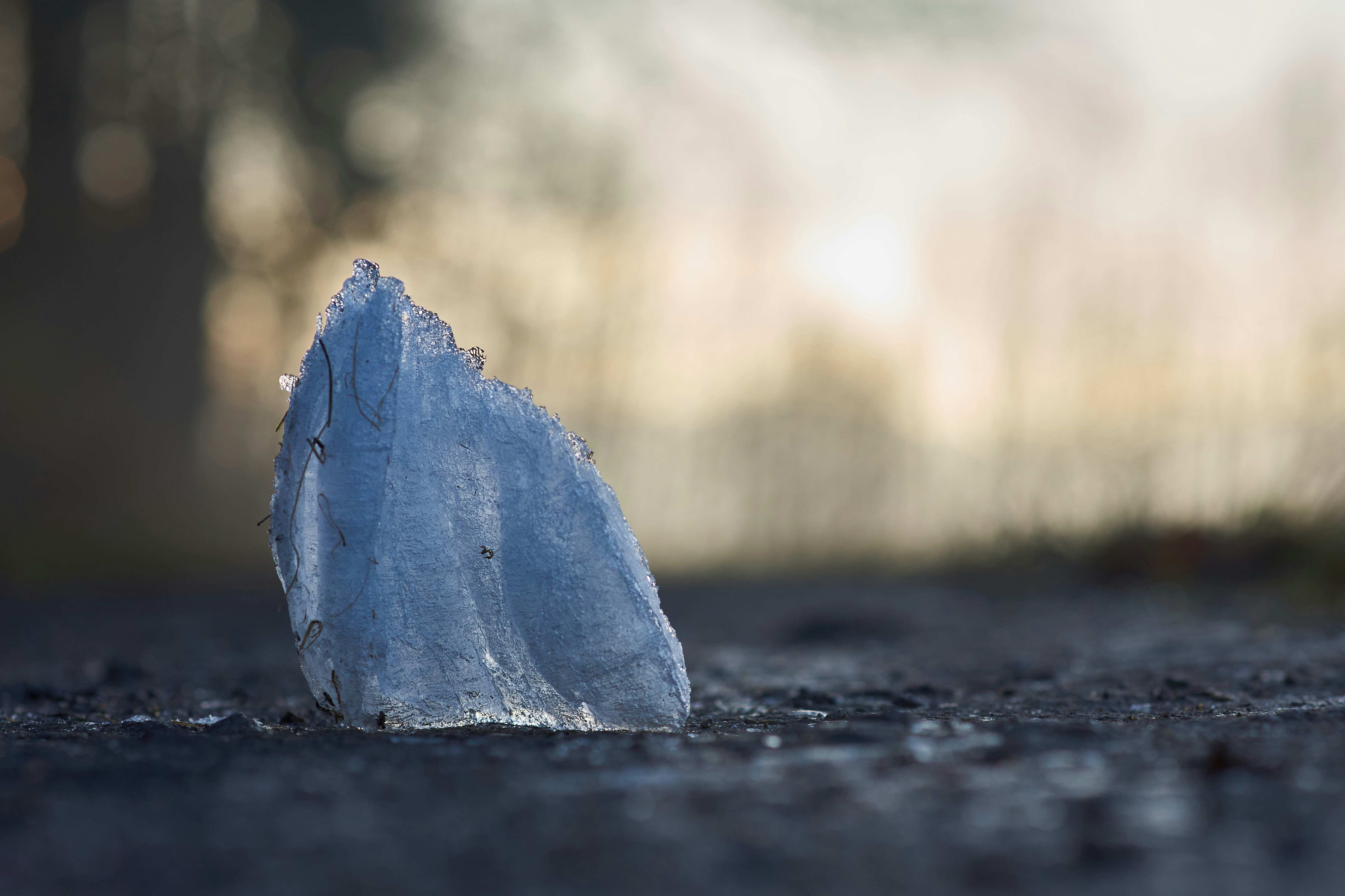 Edge of the Fragment: A Focused Study on a Weathered Shard