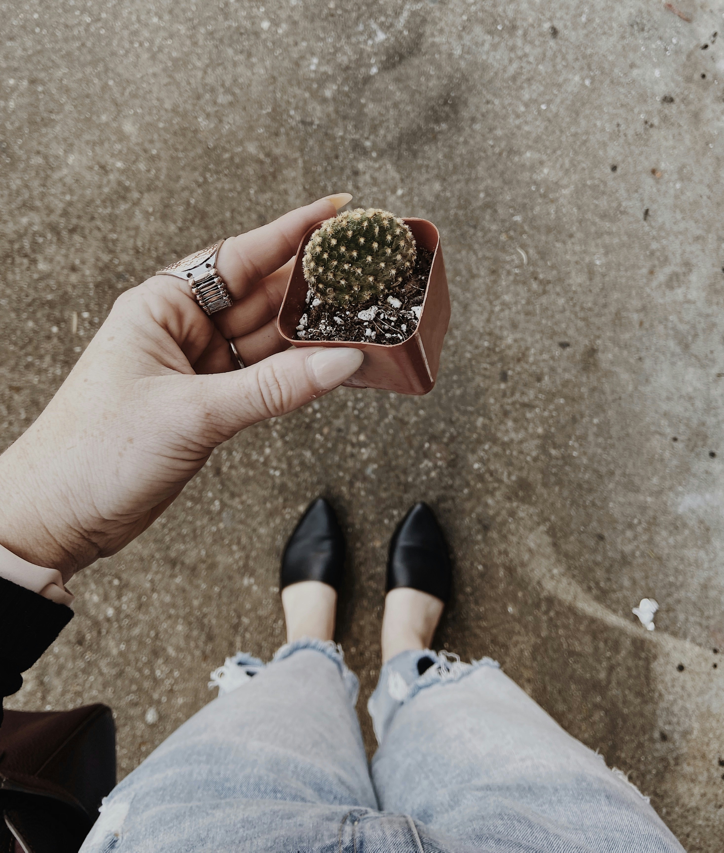 Top-Down Moment: a hand holds a tiny potted cactus above worn denim and black shoes