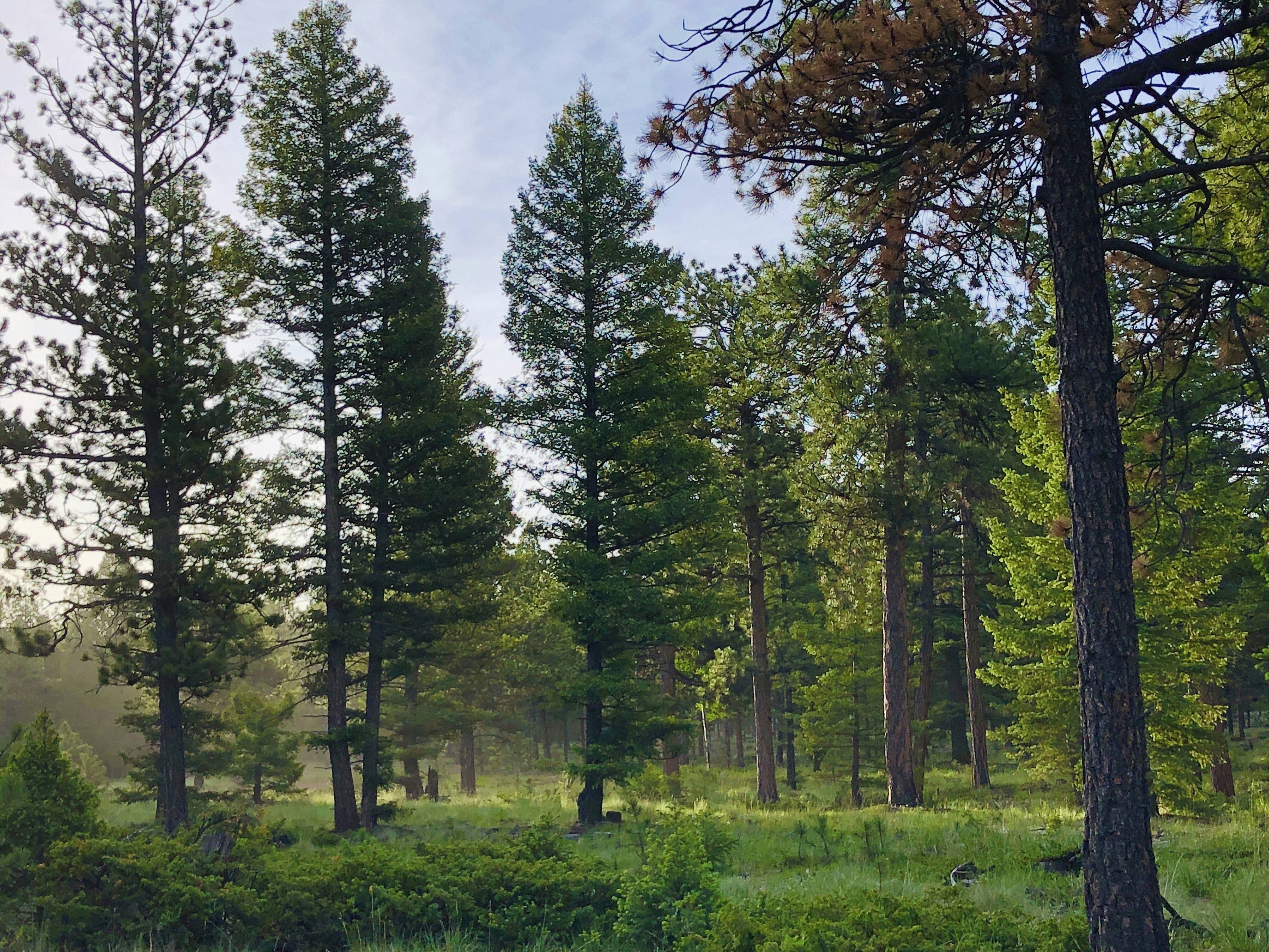 Quaker Ridge Camp Photos | Télécharger des images gratuites sur Unsplash