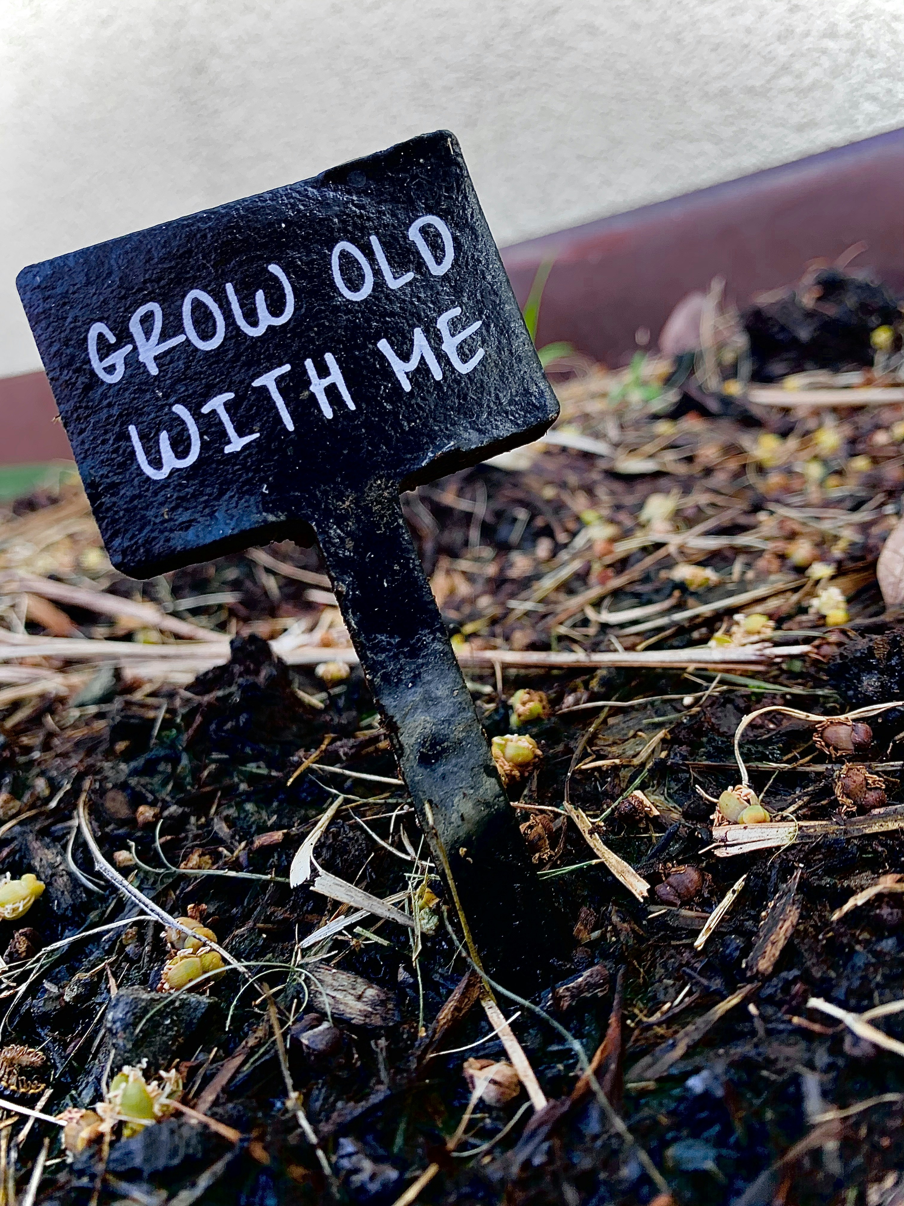 Grow Old With Me: A Weathered Garden Note