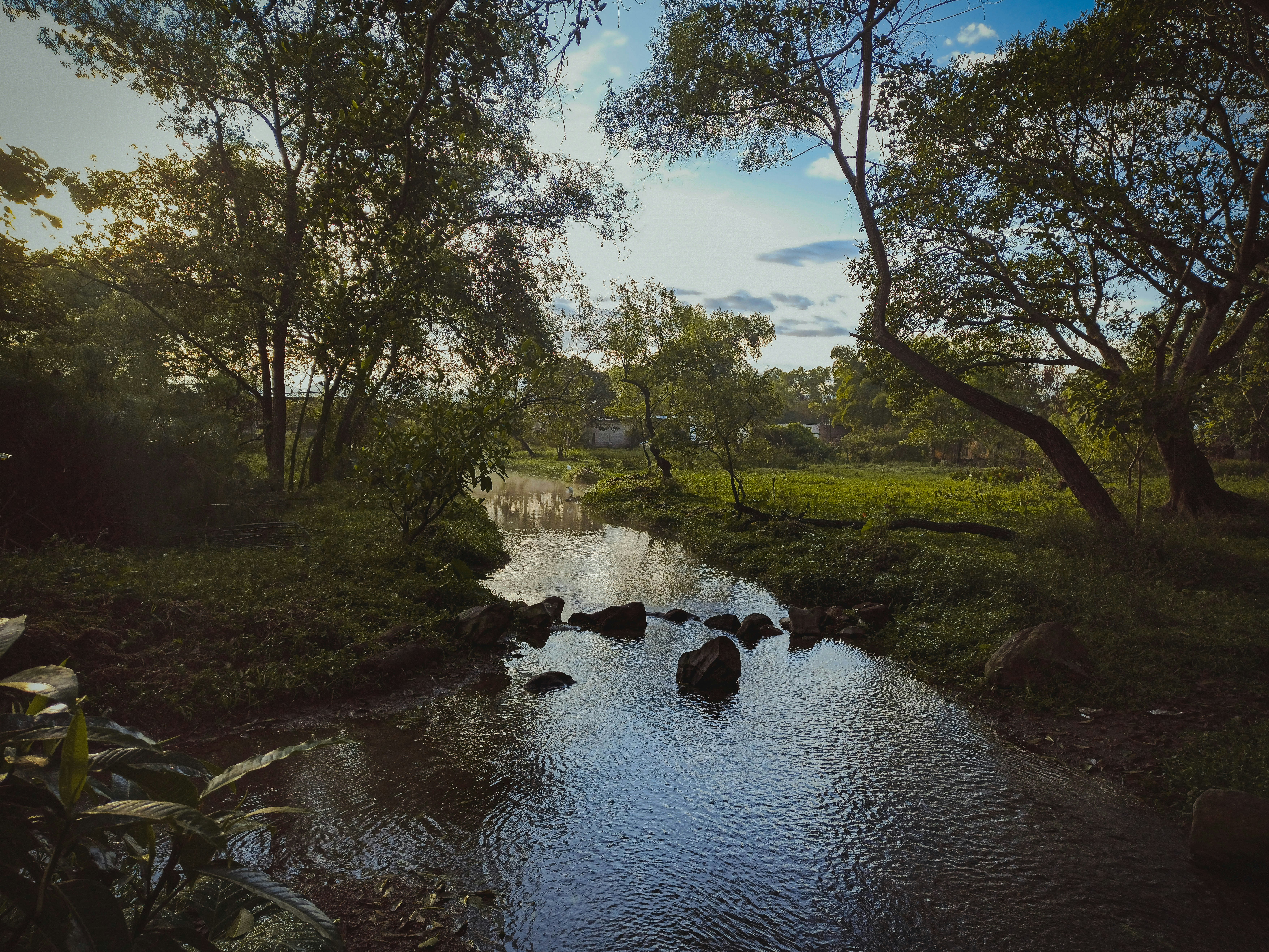 Stone-Guarded Stream: Light on Water and Willows