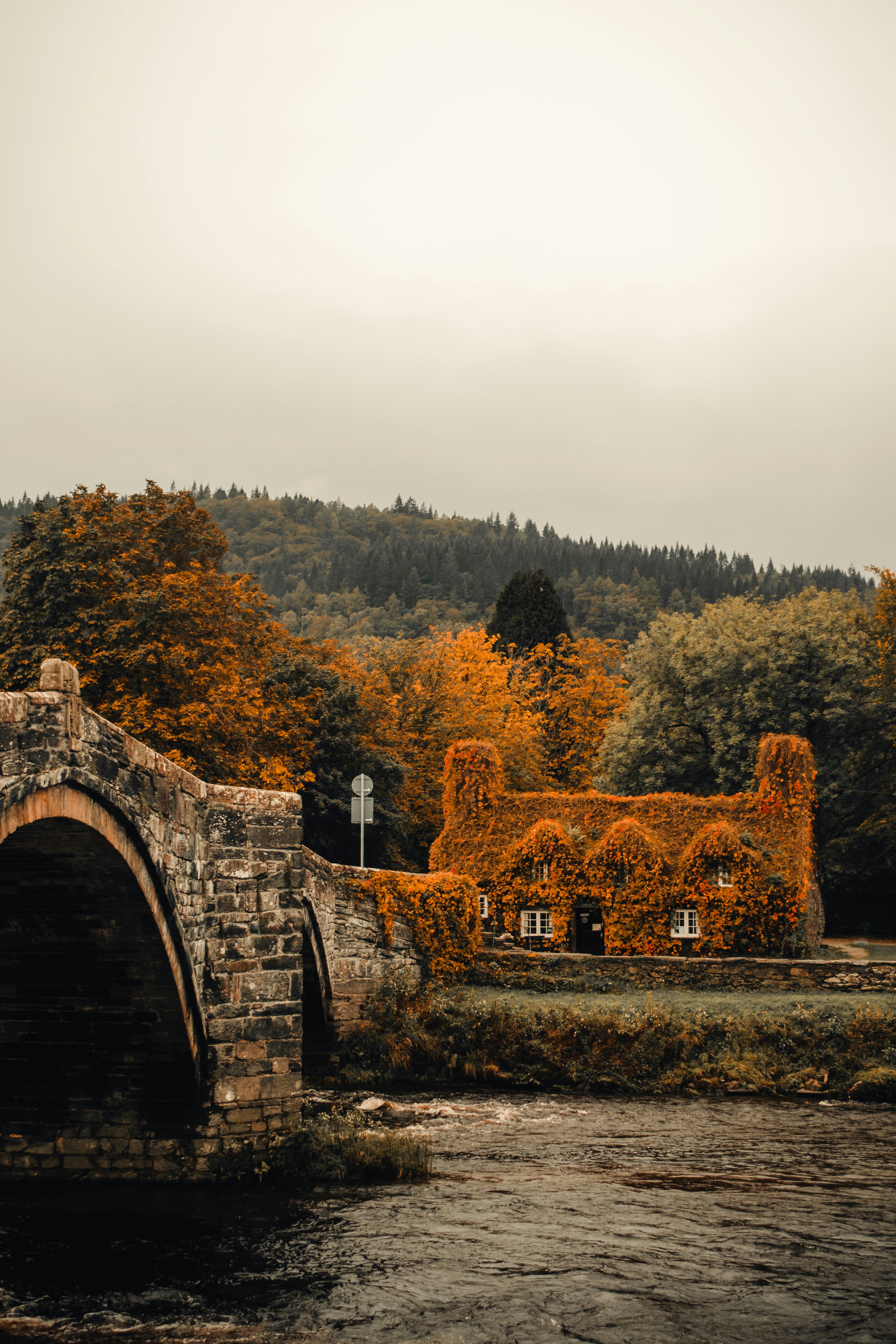 Stone Forest Bridge Autumn