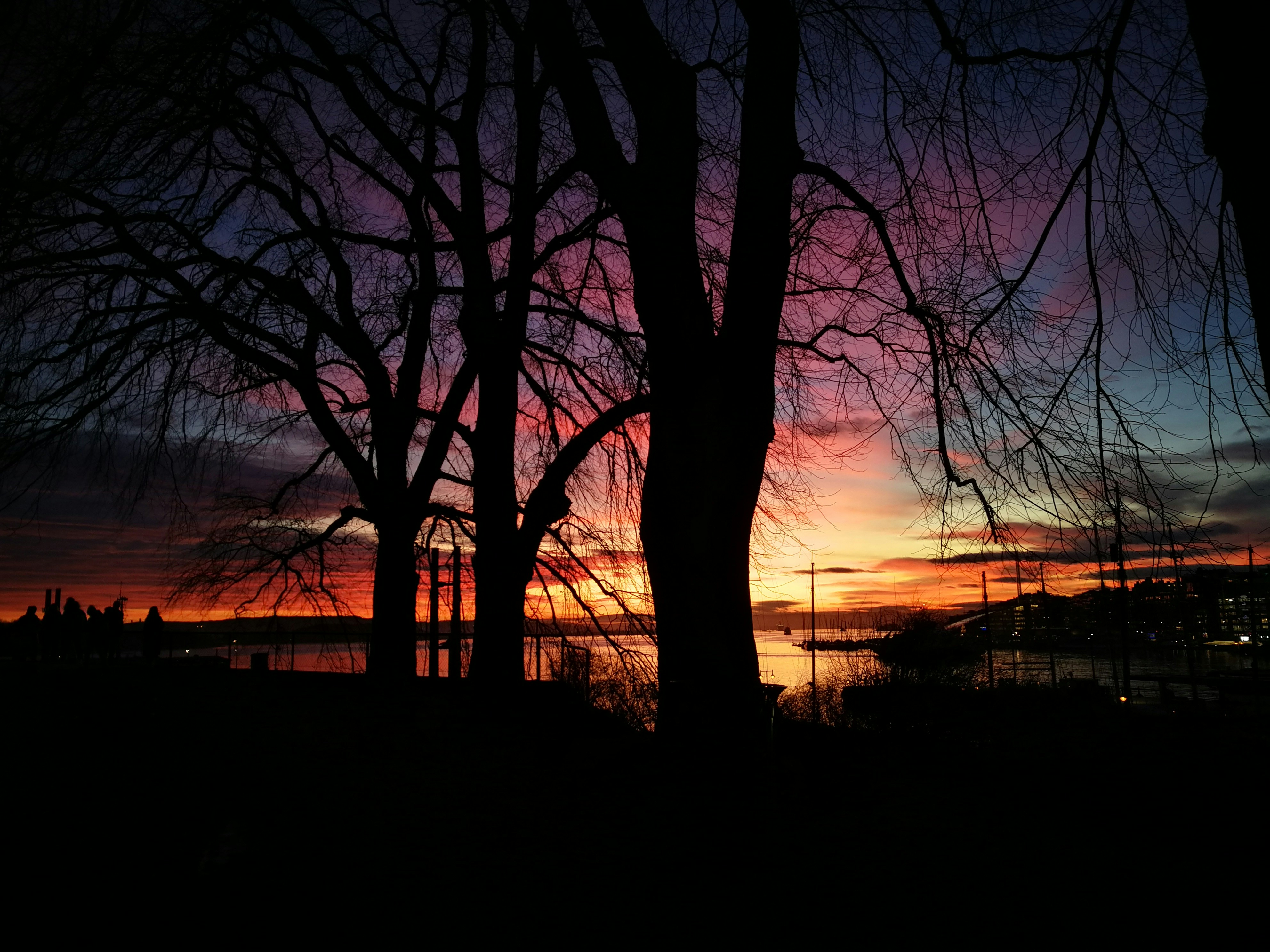 Alex Lehner (@flying_penguin) | Unsplash 사진 커뮤니티