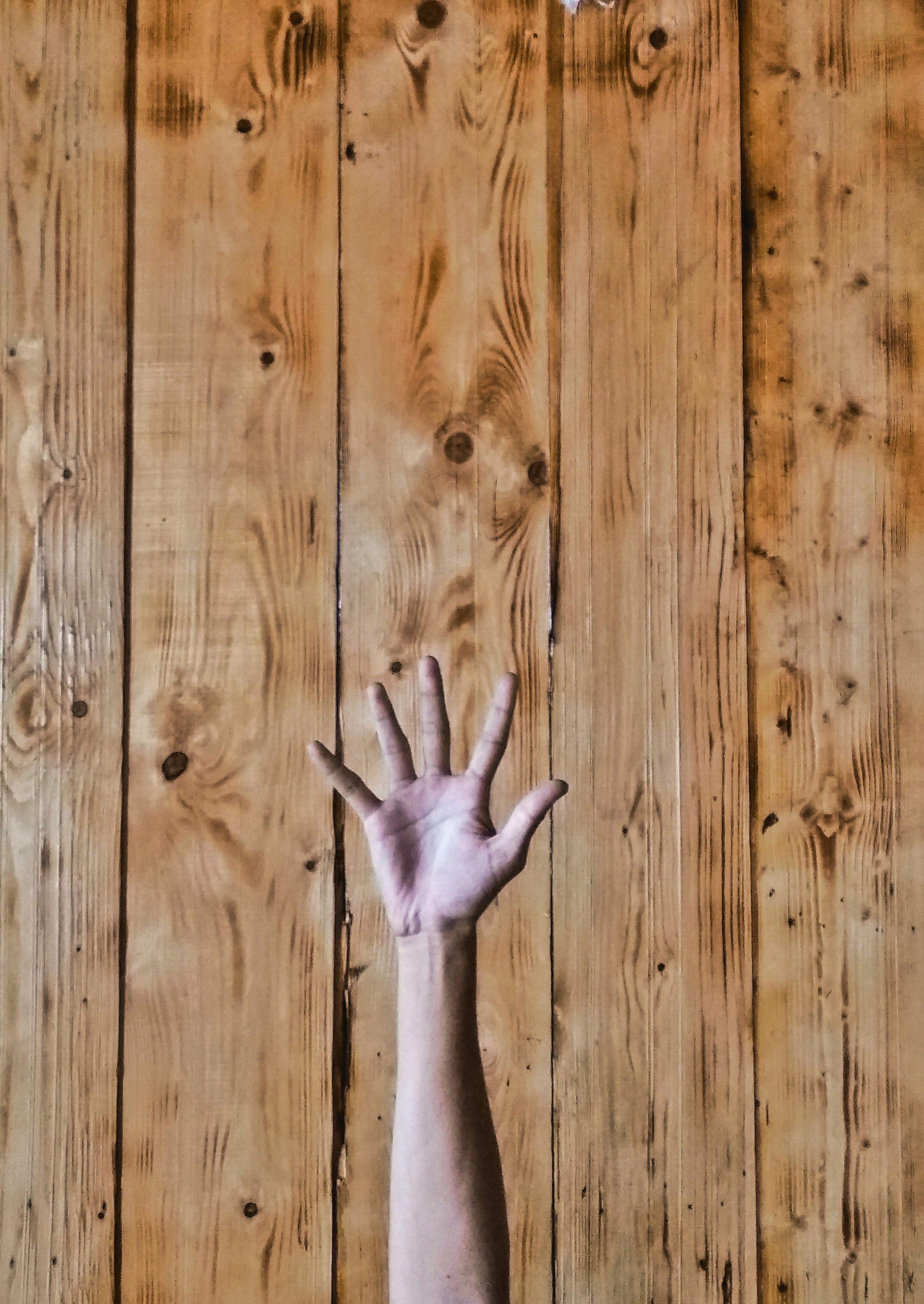 Reach for the Planks: A Hand Against Vertical Wood