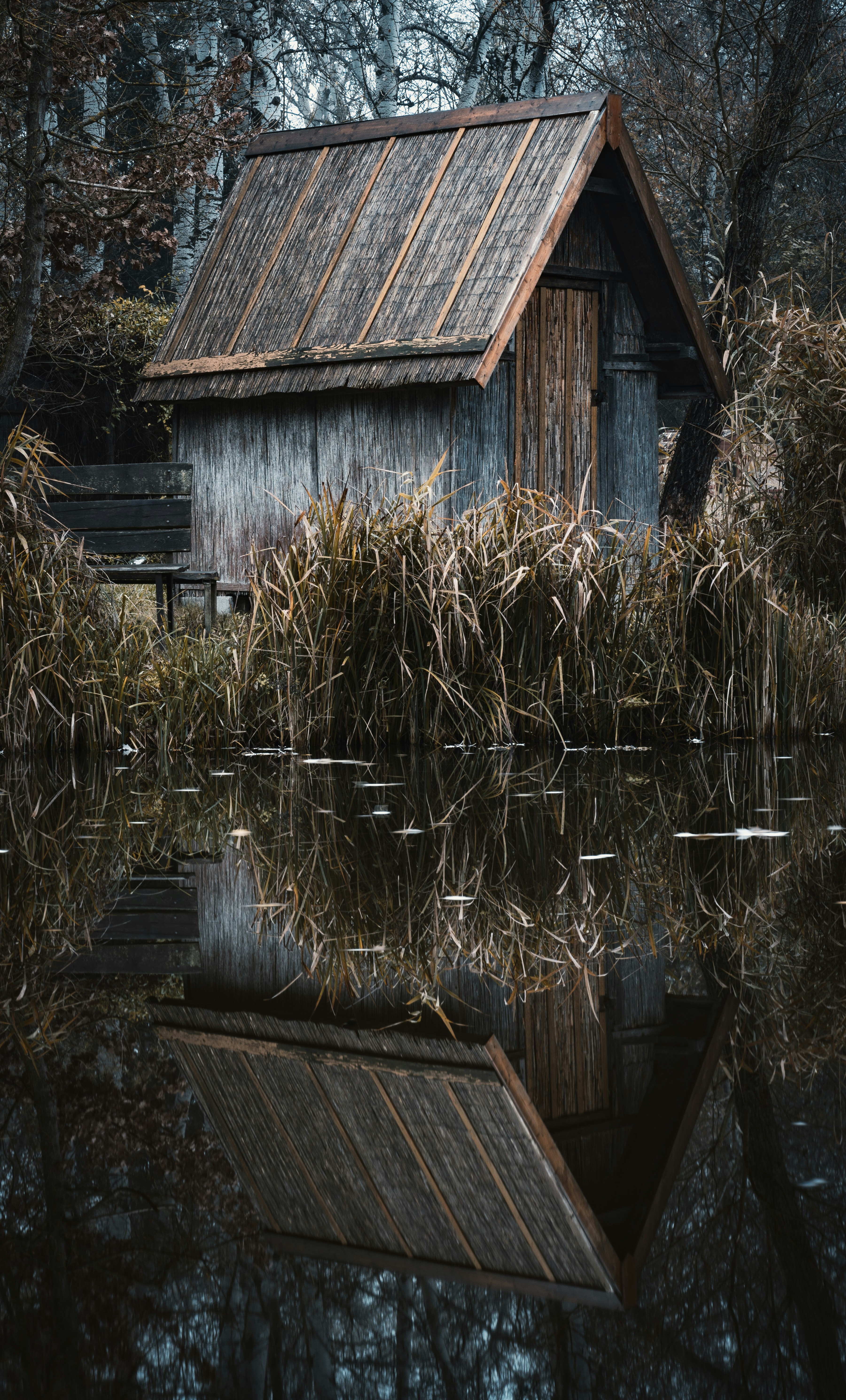 Weathered A-Frame by a Quiet Pond: Reeds Framing a Timeworn Shelter