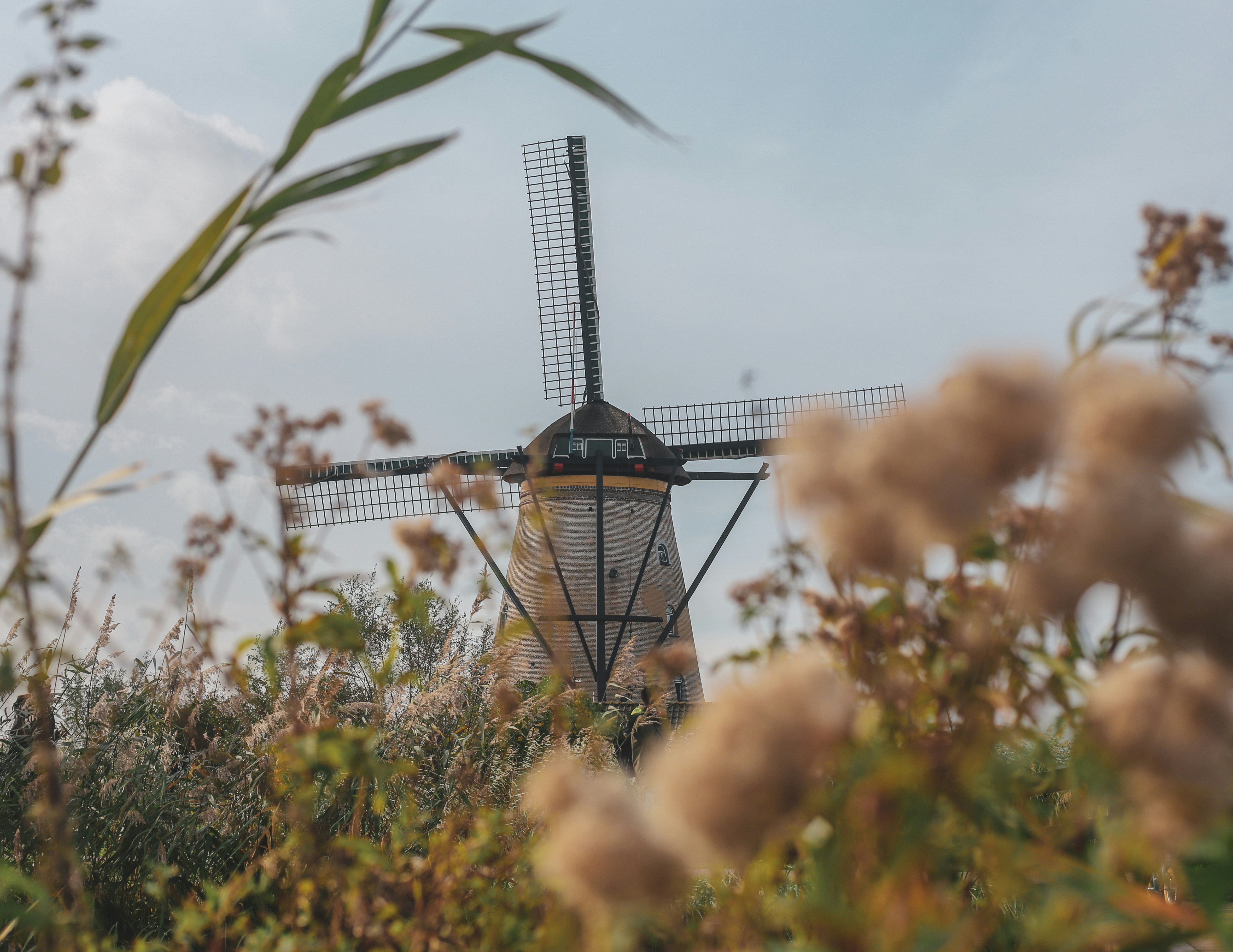 Historic windmill framed by wildflowers under a soft blue sky.