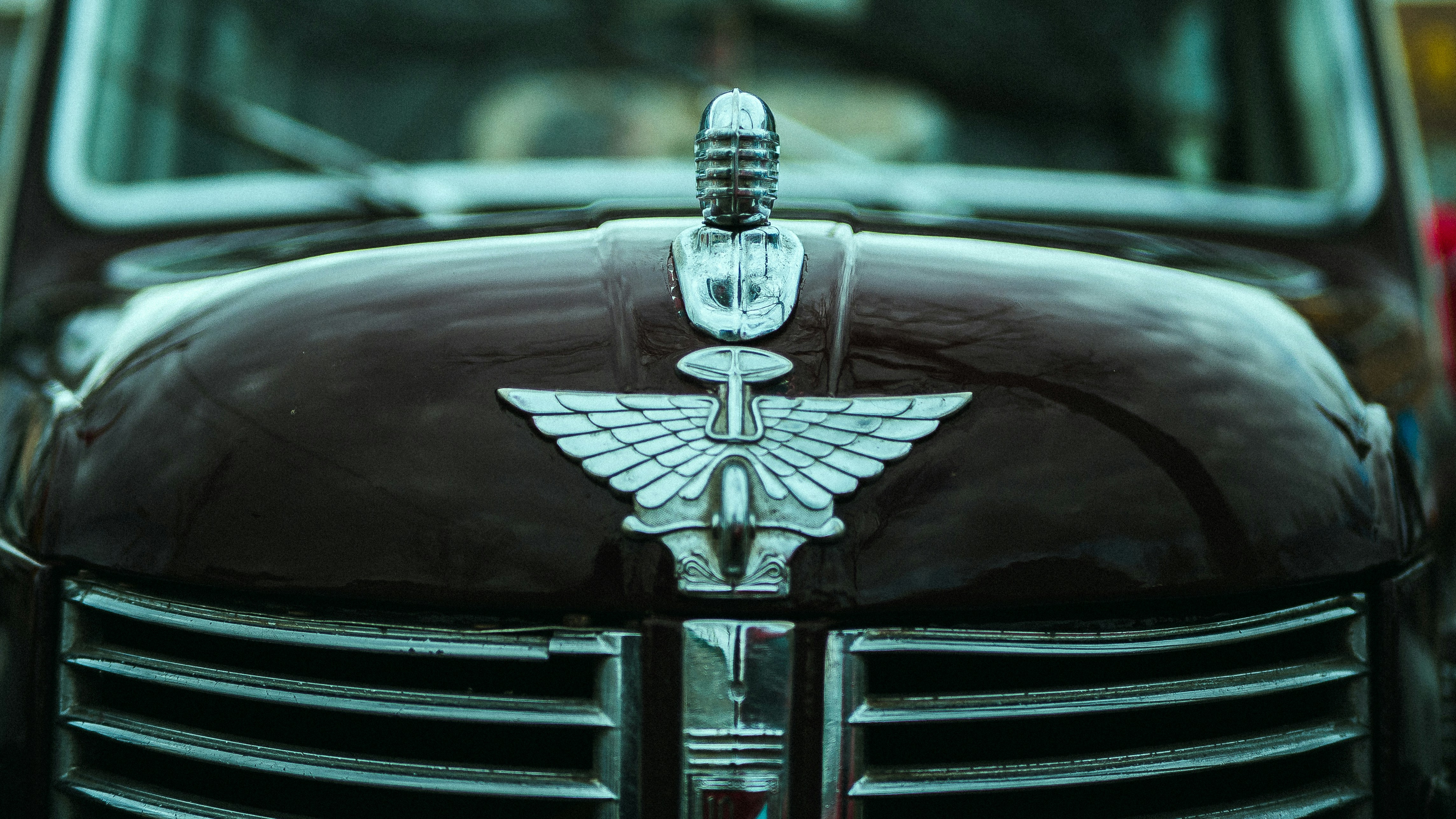 Chrome Wings on a Dark Hood: The Vintage Crest in Focus