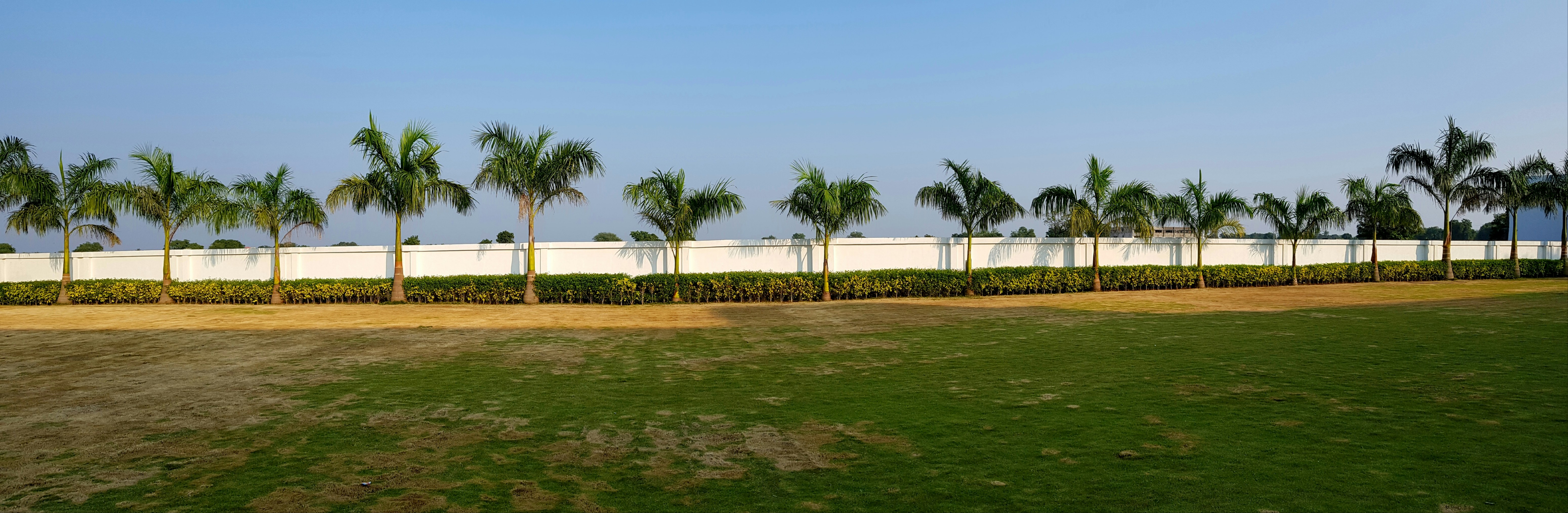 Line of Palms and a Sea of Green: A Coastal Lawn Under Blue Skies