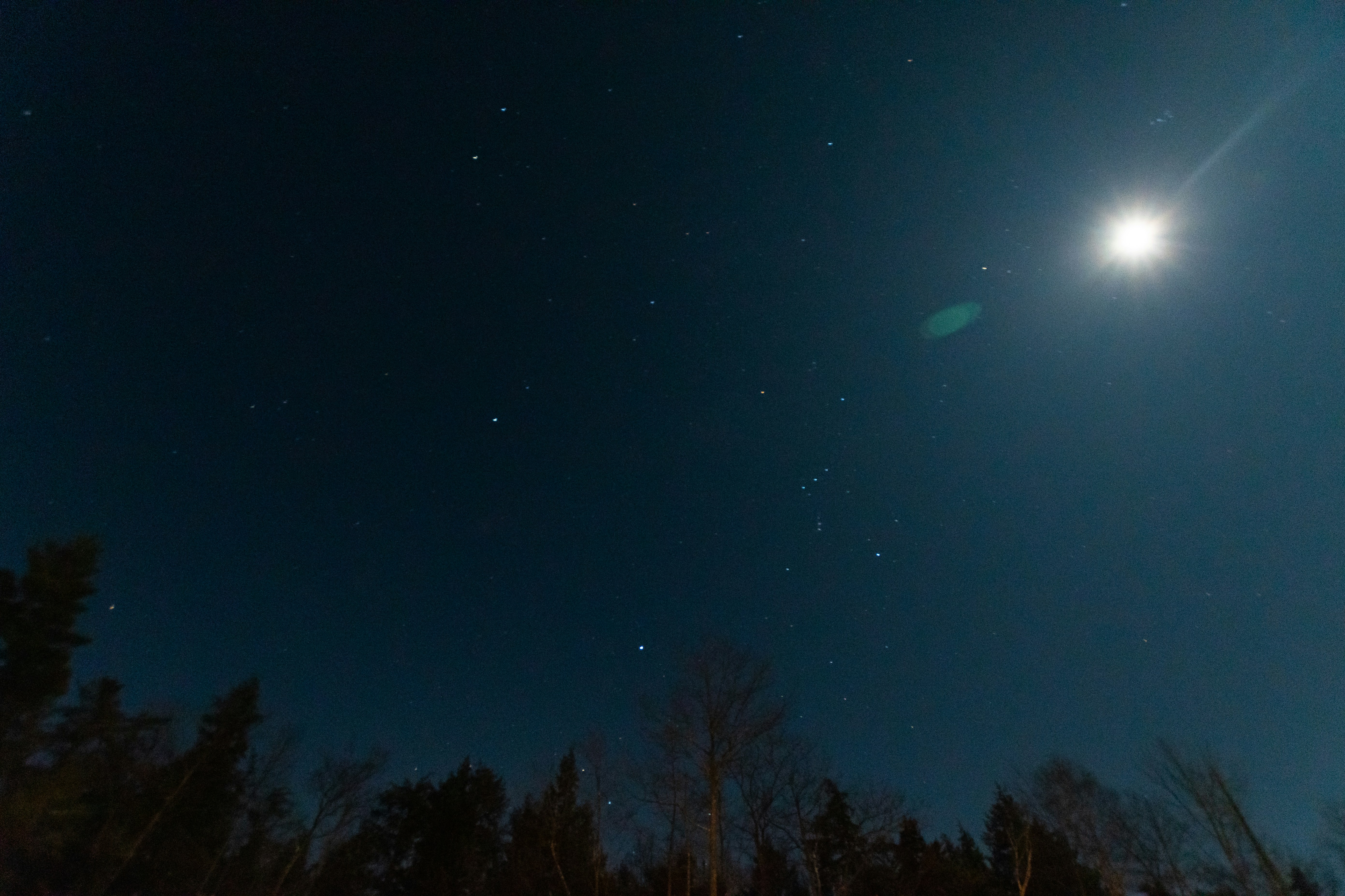 Moonbound Night Over Whispering Pines: A Starry Sky Portrait