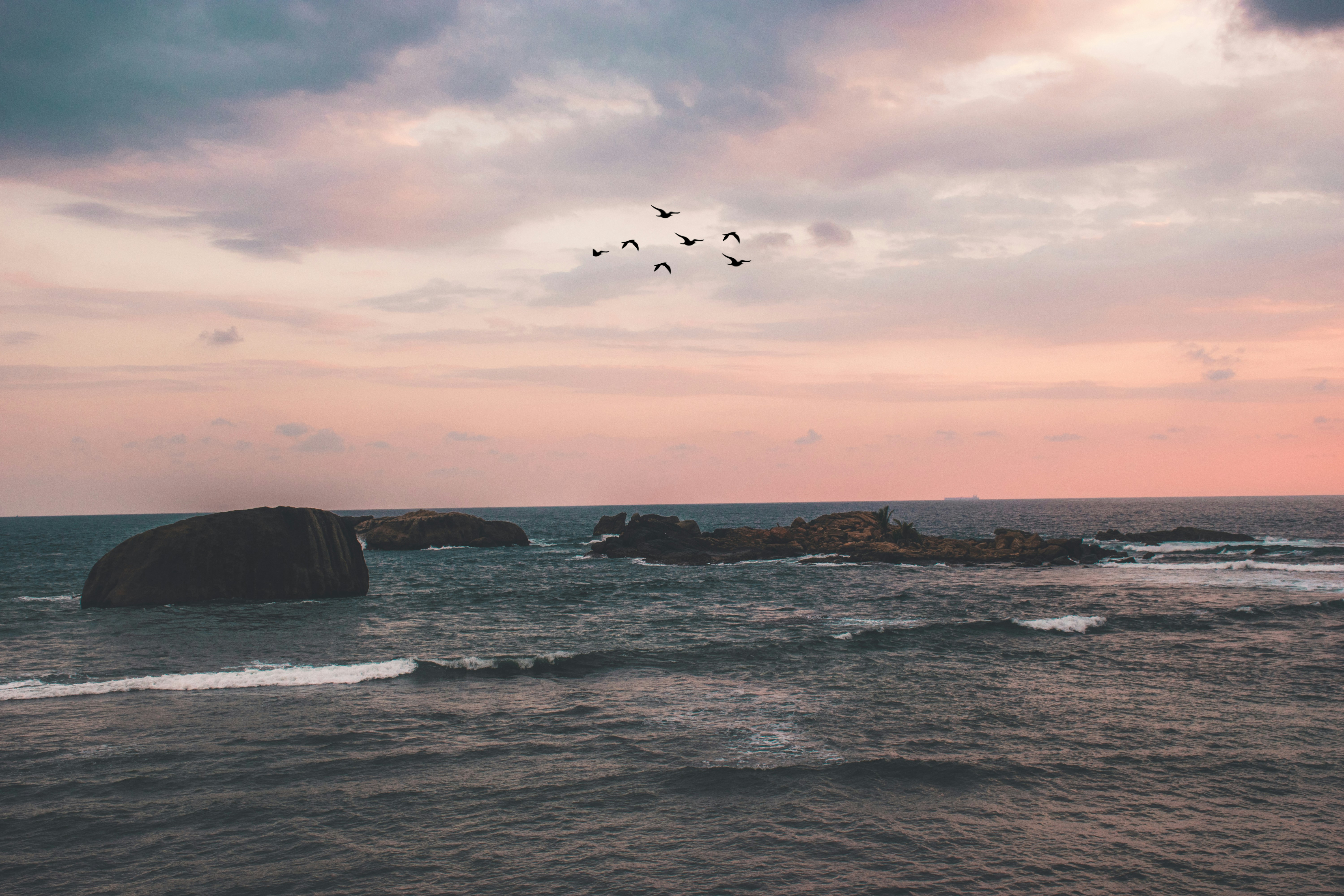Flock of birds gliding over rocky seascape under a pastel sunset sky.
